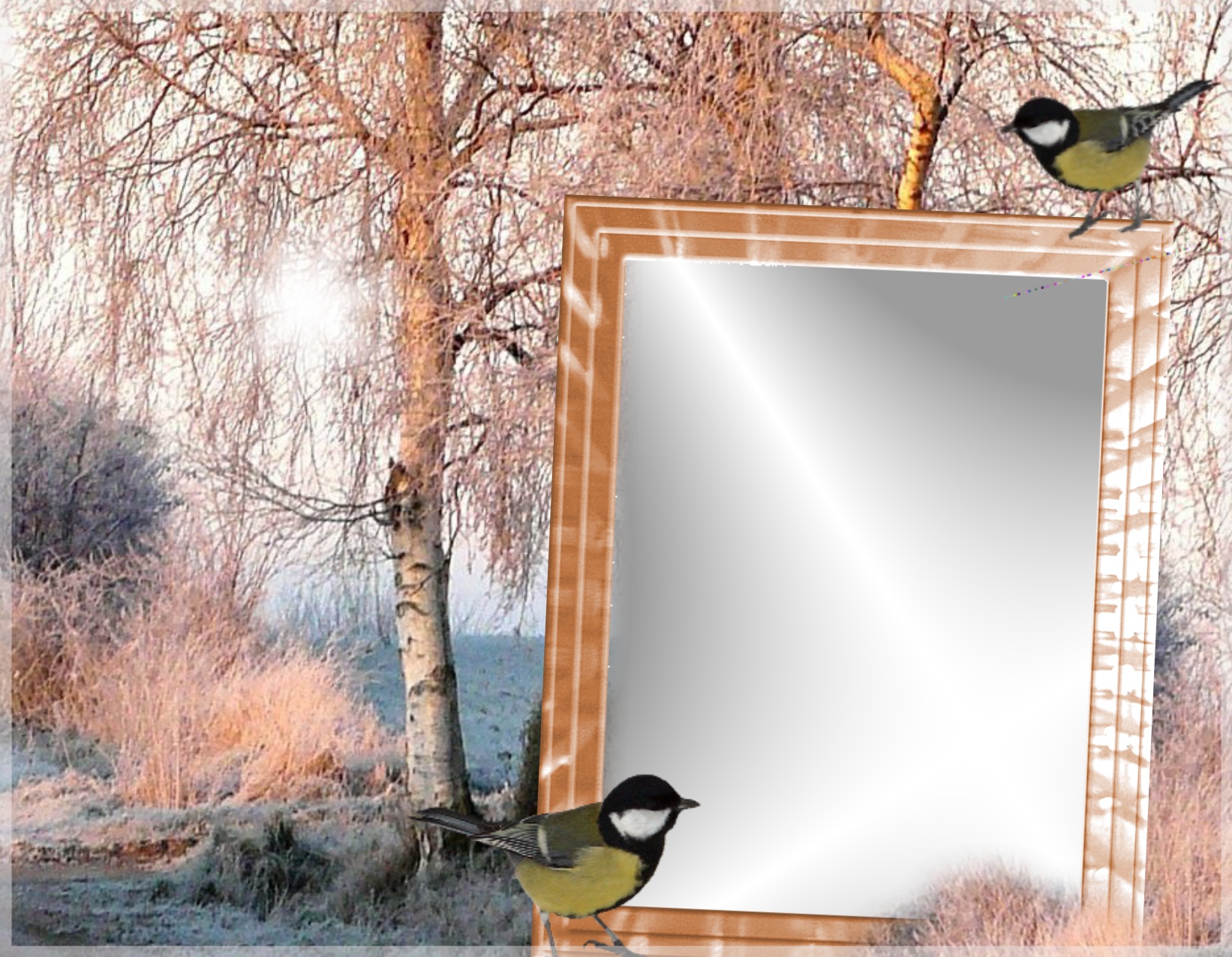 evmasy's Germany Frames - 2011 October - 2011 October - +first snow ...