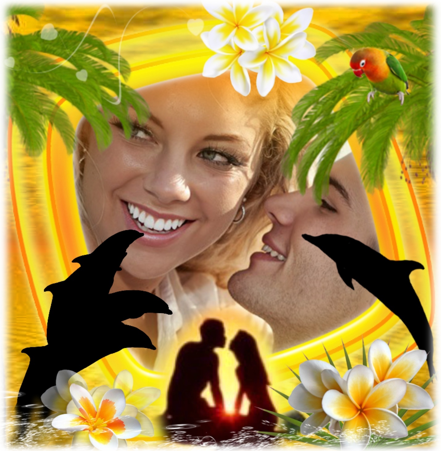 Sinnlich's Summer Frames - 2019 - Sinnlich's Summer Frames - 2019