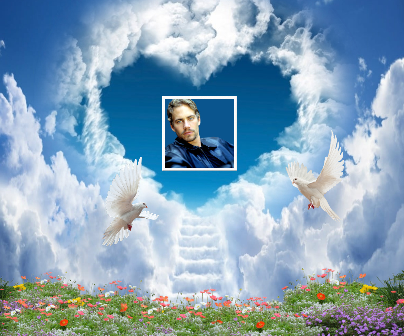 pussycatlady22's In Memory Of... Frames - 2018 February - In Loving ...