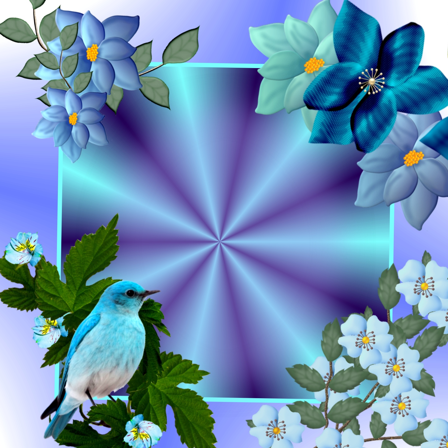 Emily50's Get Well Soon Frames - bird - floral photo frame Ghy01 get ...