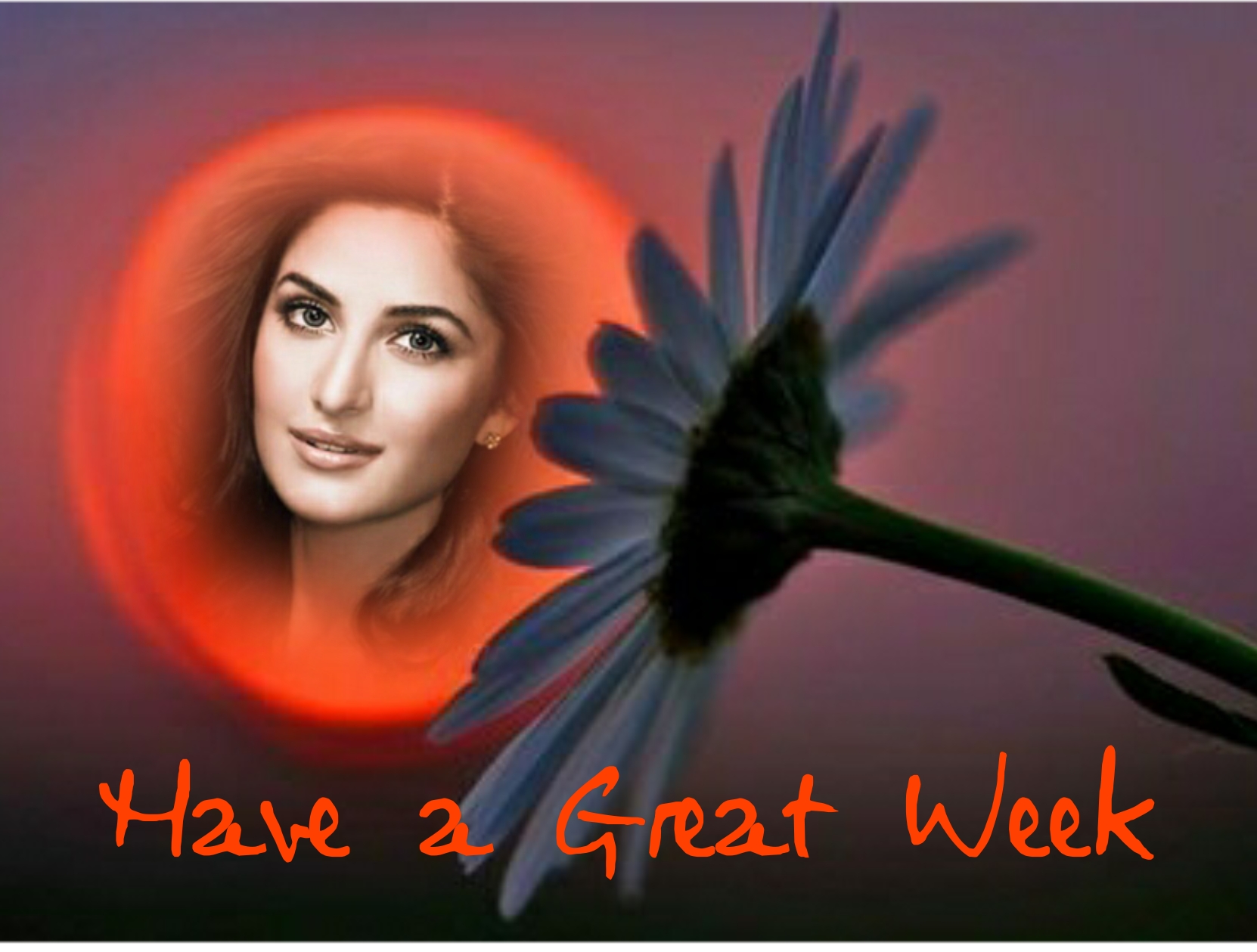 Adelaide's WEEK-WEEKEND🐦SEMANA-FIM DE SEMANA - Adelaide - Adelaide ...