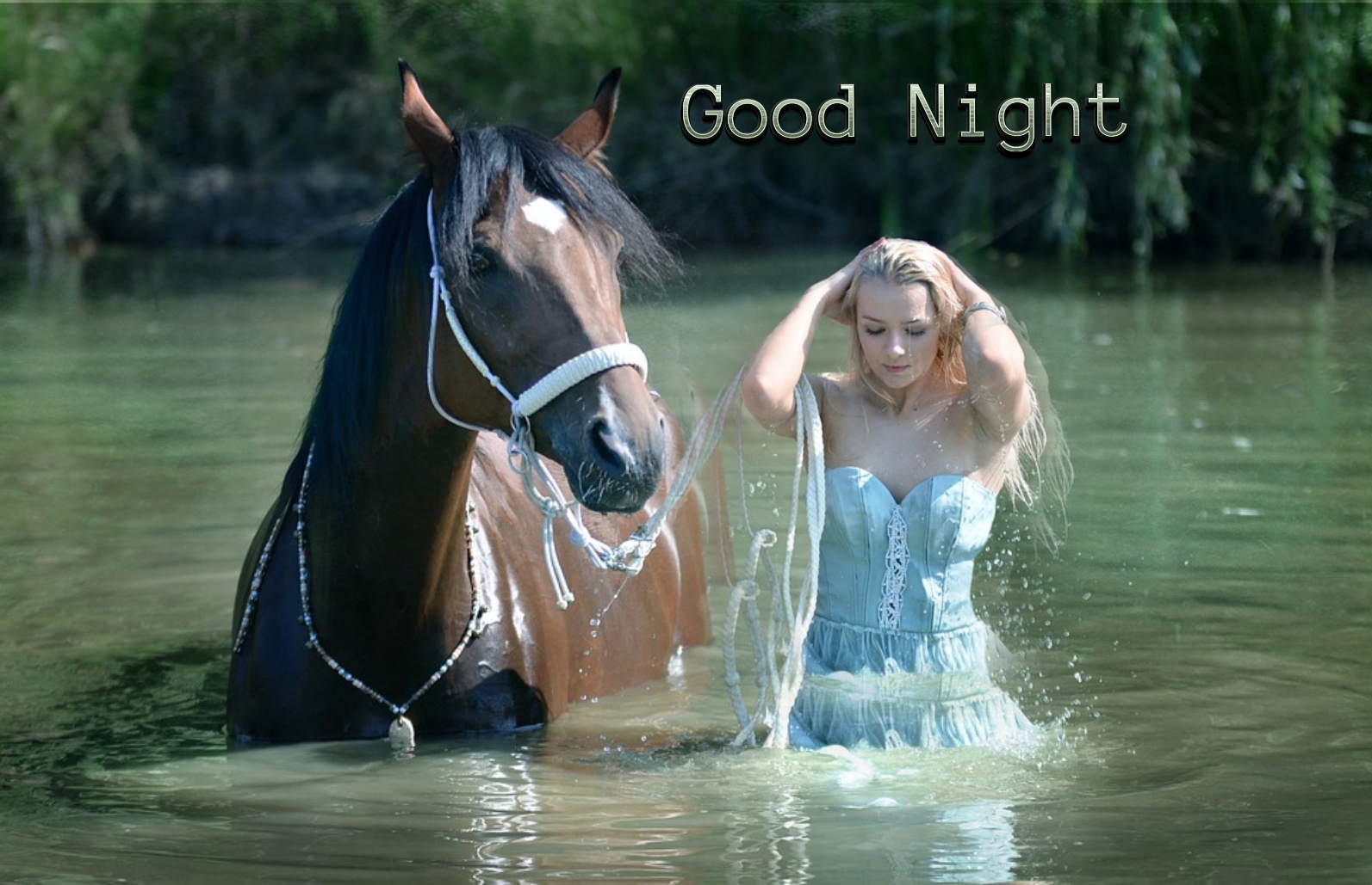 Emily50's Good Morning and Good Evening - good Evening Good Night ...