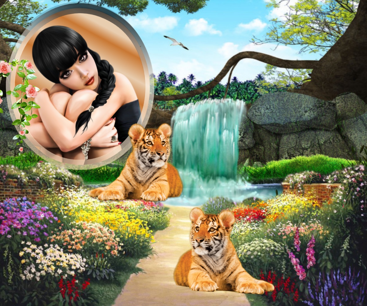 It'sMichelle's Wildlife Frames - Tigers Wildlife Nature Wilderness - Tigers Wildlife Nature ...