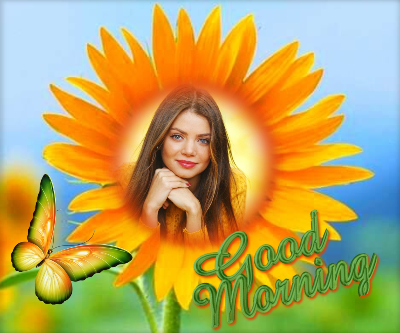 Adelaide's SUNFLOWERS - GIRASSOIS - GIRASOLES - Adelaide - Adelaide ...