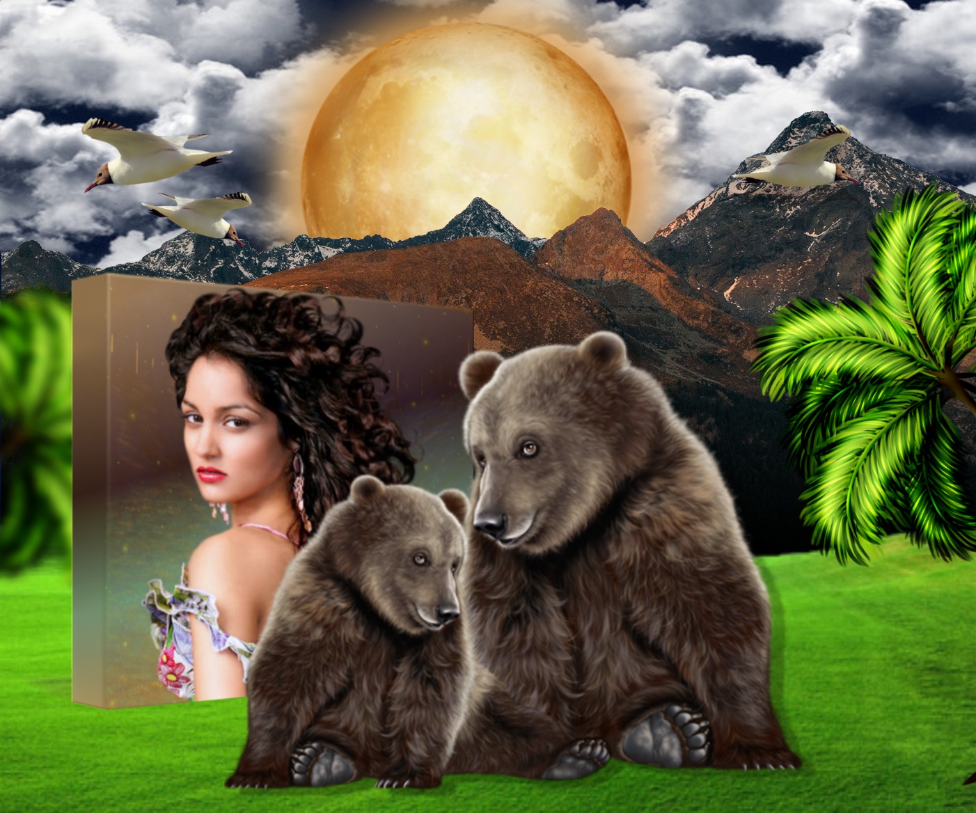 It'sMichelle's Wildlife Frames - Wildlife Nature Scenery - Wildlife ...