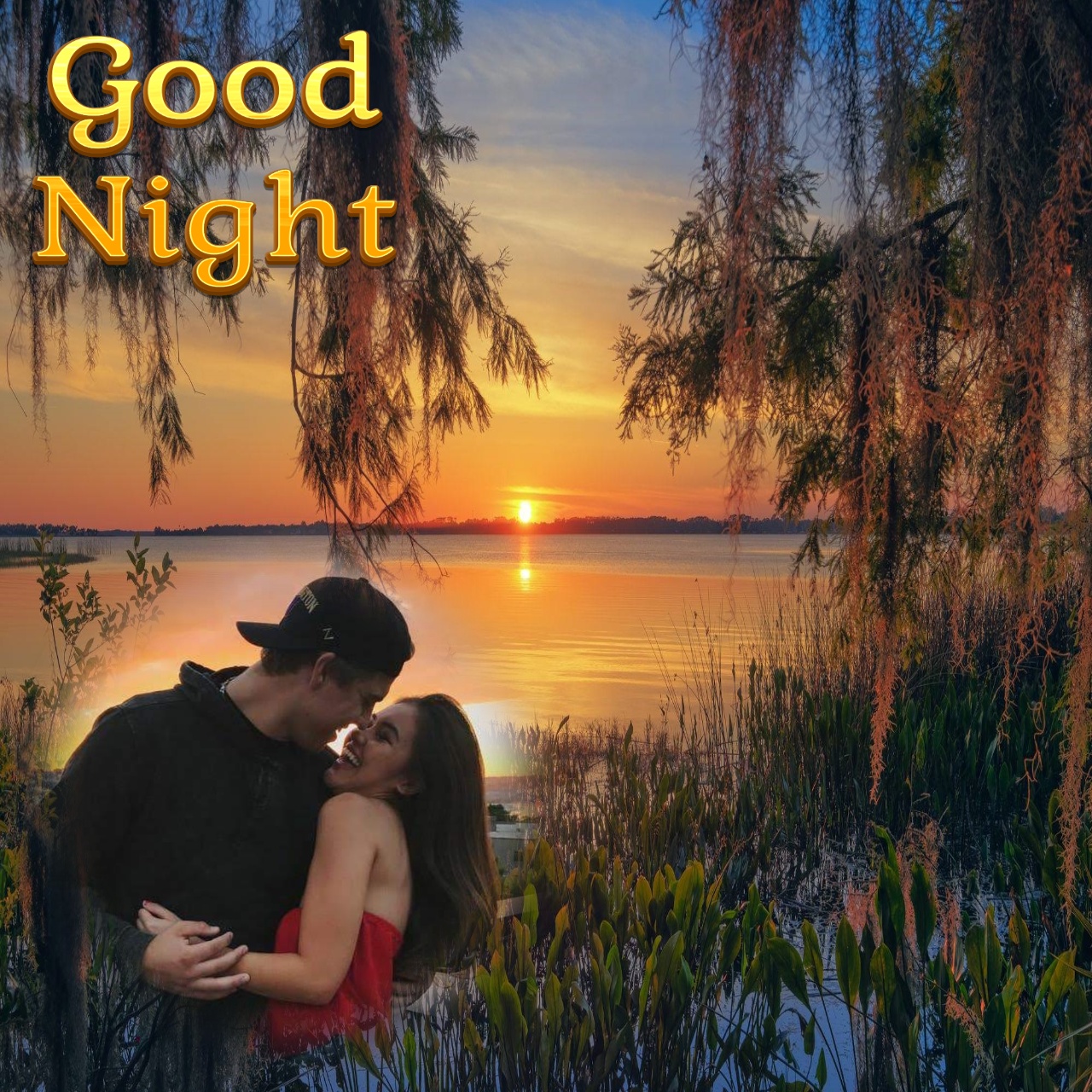 Mmhartley2's Everything Stream - Good Night Sunset Love Florida - Good ...