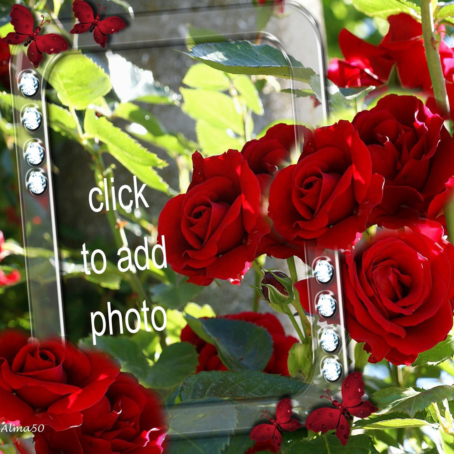 alma50's Picture Frames - 2010 September - Roses Bush Alma50 picture ...