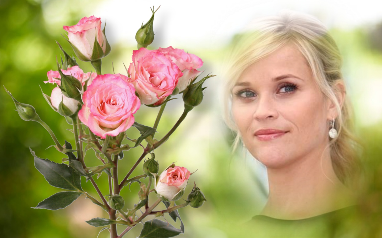 Elizabeth's GOOD MORNING/DAY/NIGHT ⭐️ 2/3 - Haveagreatday Pink Rose ...