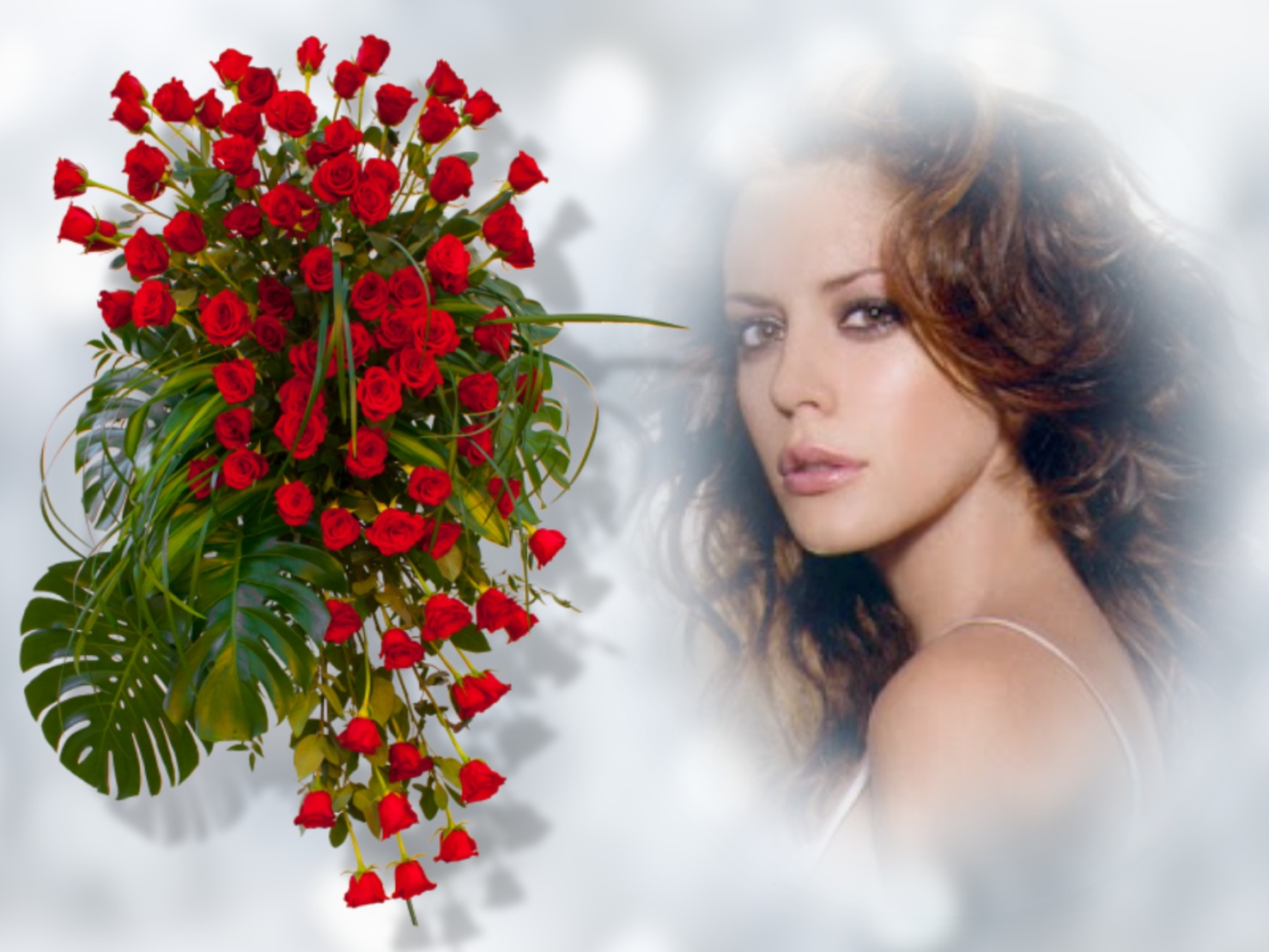 Jezebel64's Floral - Red Rose Have A Great Day Jezebel64 - Red Rose ...