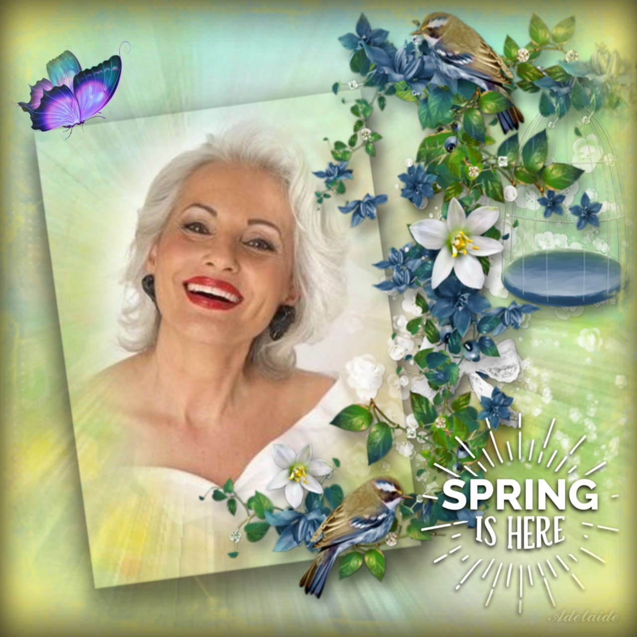 Adelaide's SPRING / PRIMAVERA 🌺 - PRIMAVERA / SPRING 🌺 - Adelaide ...