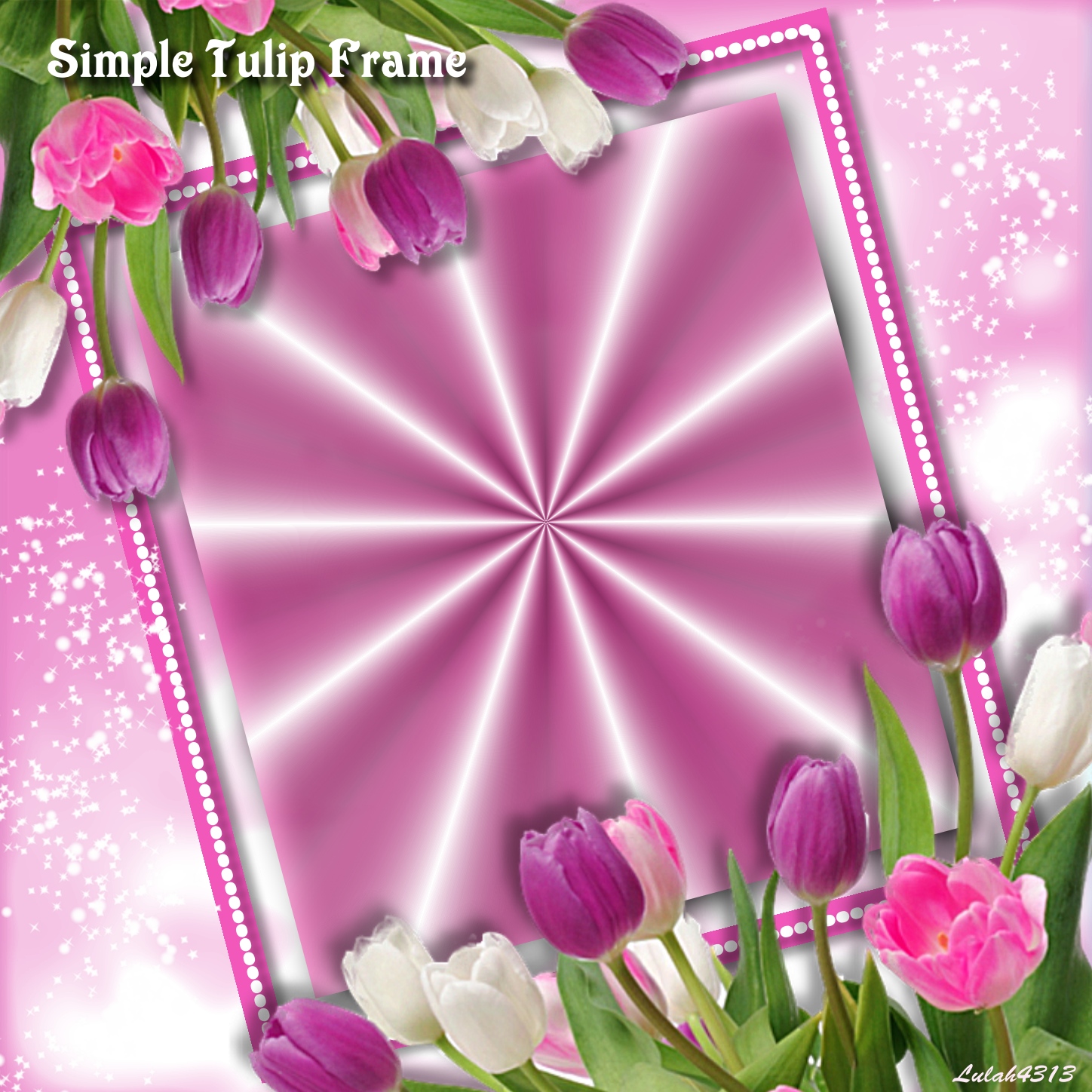 BiancaNMaya's Picture Frames - 2013 March - Simple Tulip Frame Bianca N ...