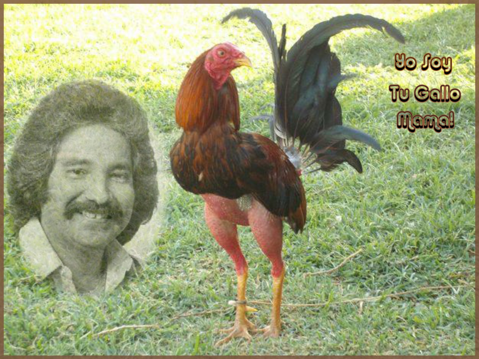 rosariorivera's Puerto Rico Frames - 2009 February - 2009 March - Yo ...