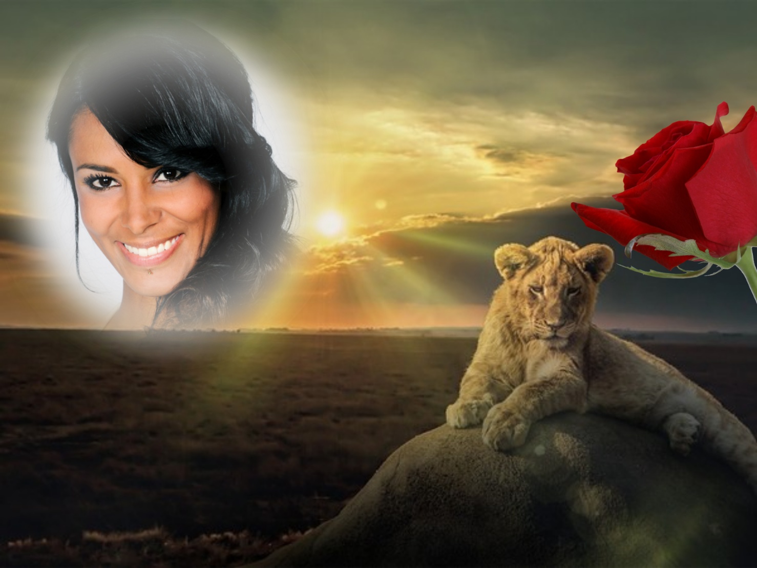 It'sMichelle's Wildlife Frames - wildlife lions nature - wildlife lions ...