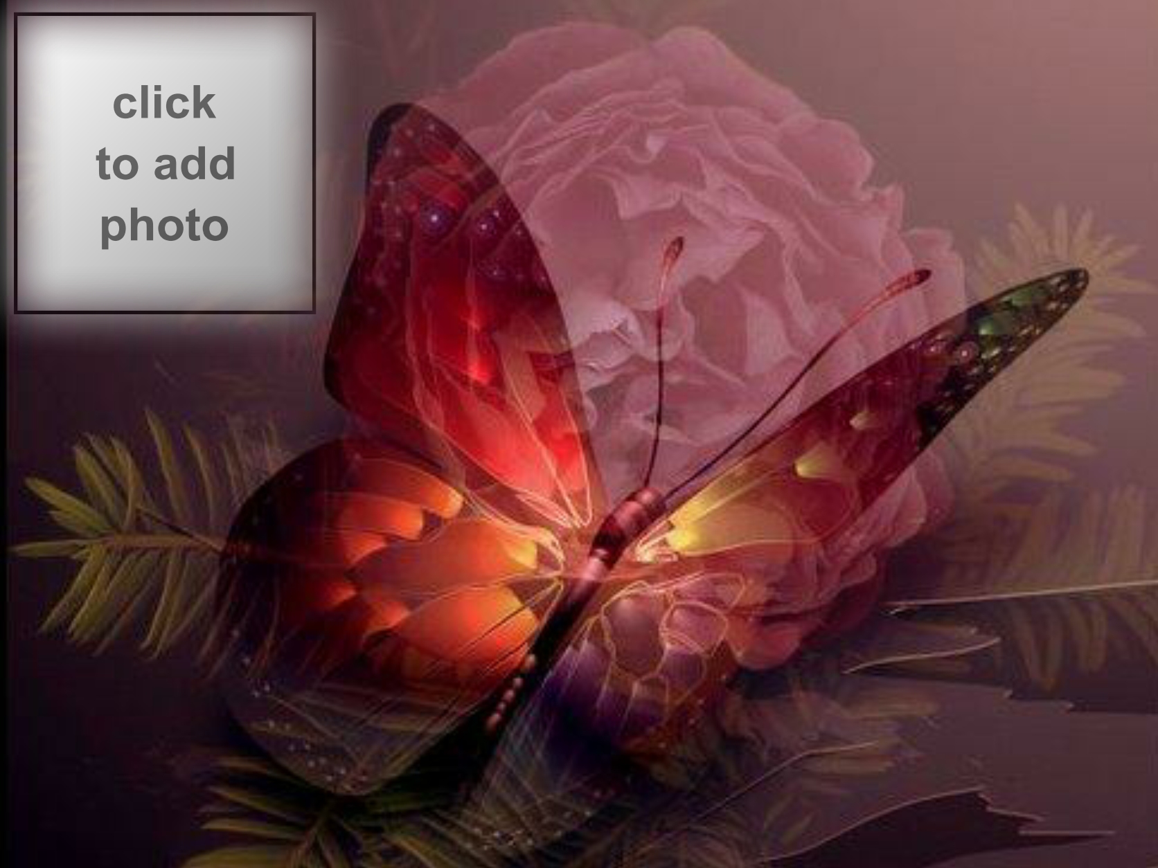 petitesquaw's Wildlife Frames - 2008 November - papillon animal ...