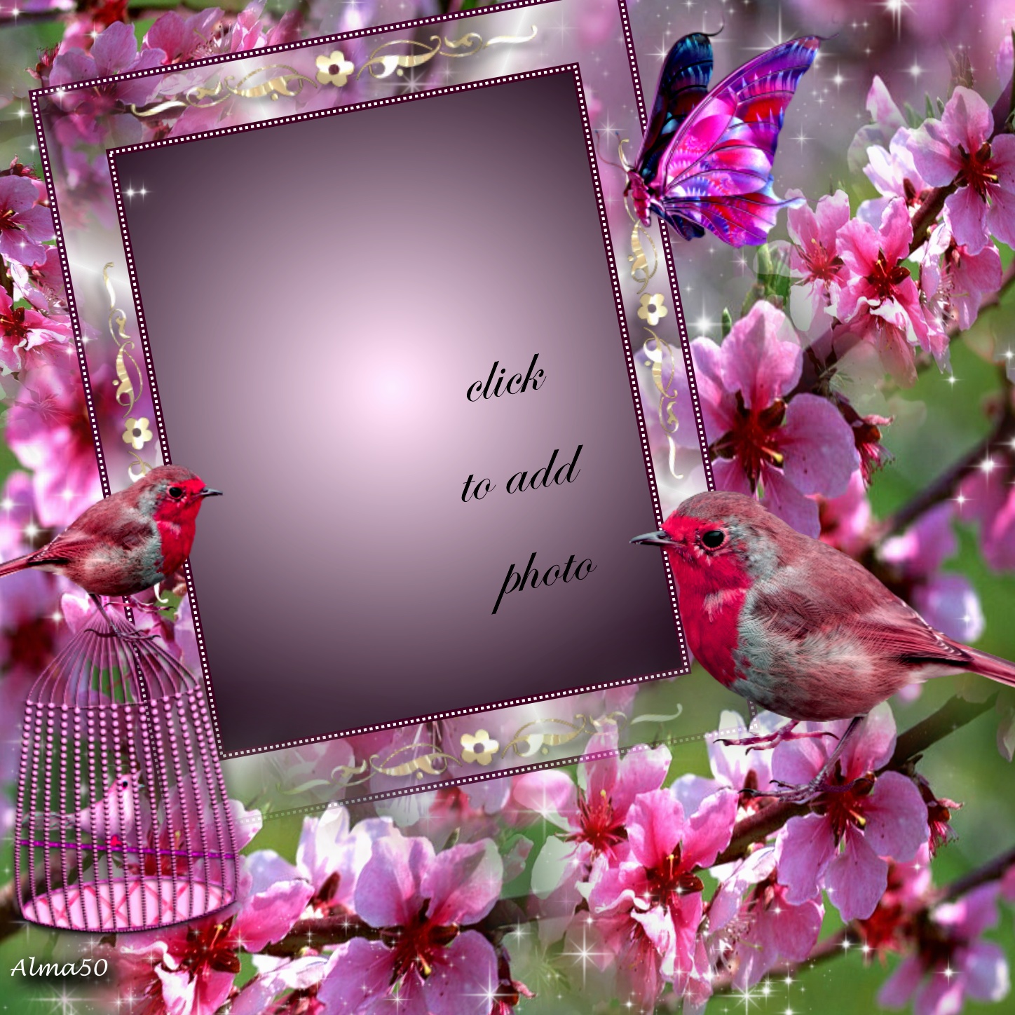 alma50's Picture Frames - 2011 June - Pink Birds Alma50 picture Frames ...