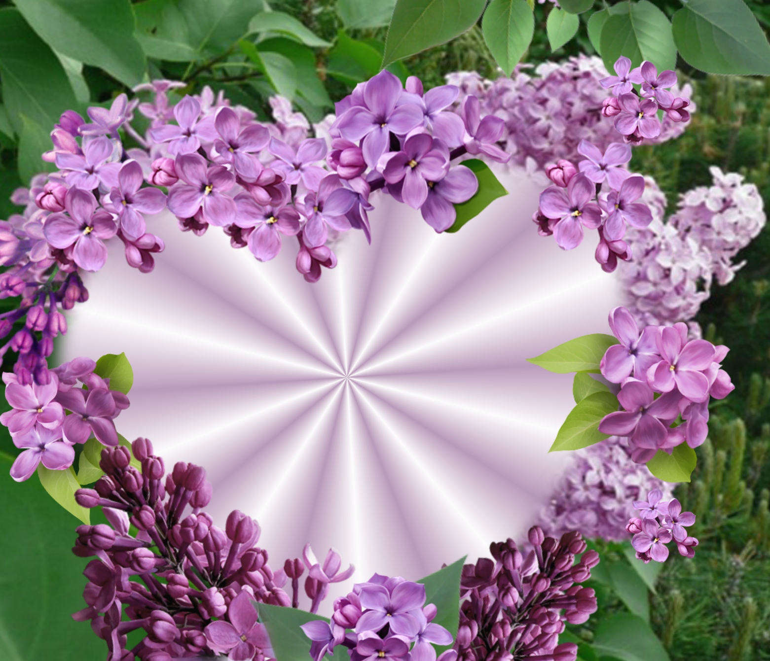 MrsPetrova's Picture Frames - 2016 February - Lilac Frame Mrs Petrova ...