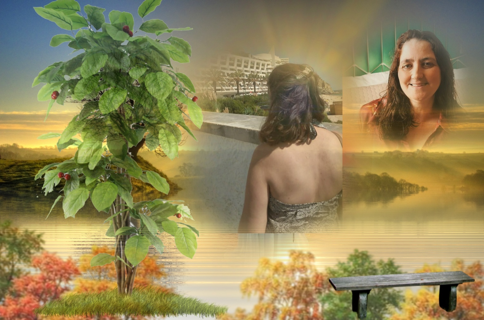 João Marques's First Stream - João Marques's First Stream