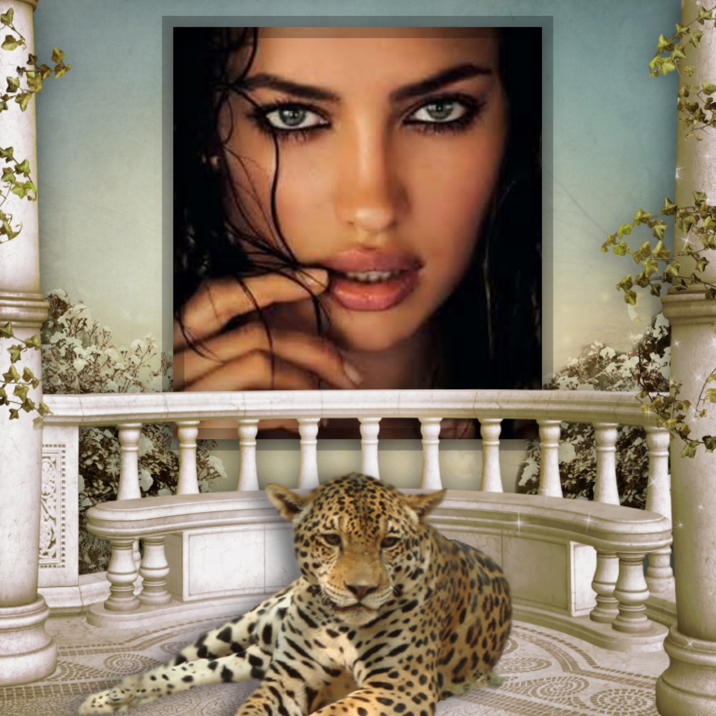 Elizabeth's ANIMALS & WILDLIFE 🙈 - Leopard Elizabeth - Leopard Elizabeth