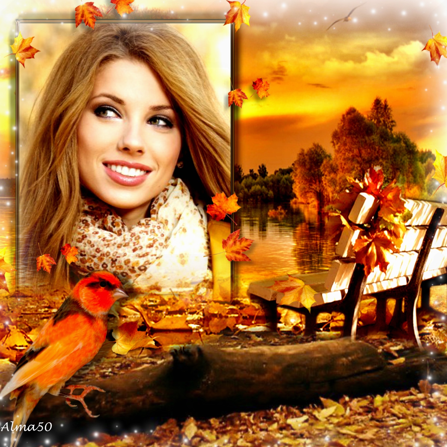 alma50's Fall Frames - 2014 - Happy Fall 2014 Alma50 - Happy Fall 2014 ...
