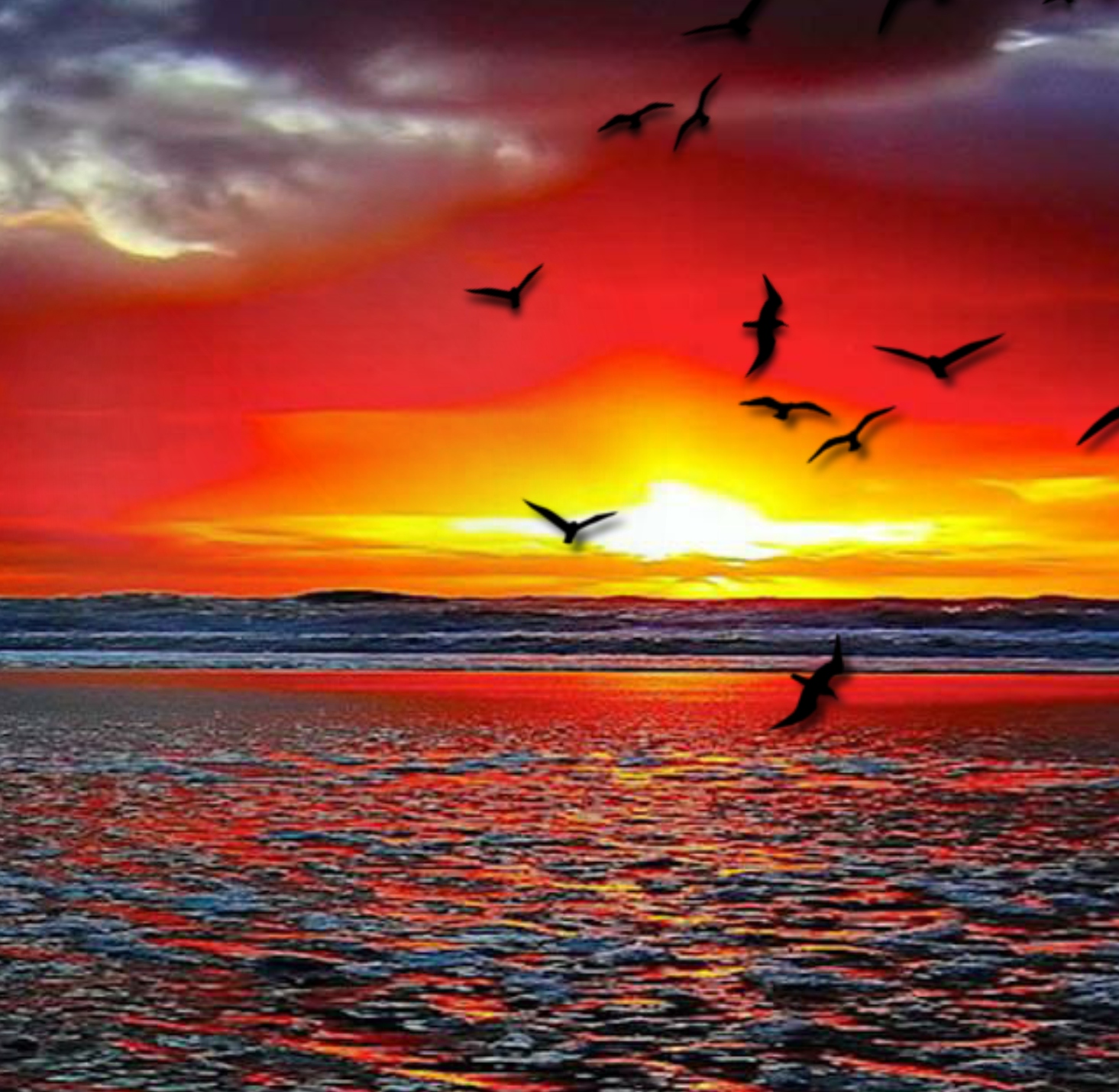 lissy's sunset scenery🌅 - 2015 August - sunset-lissy005 Lissy005 nature ...