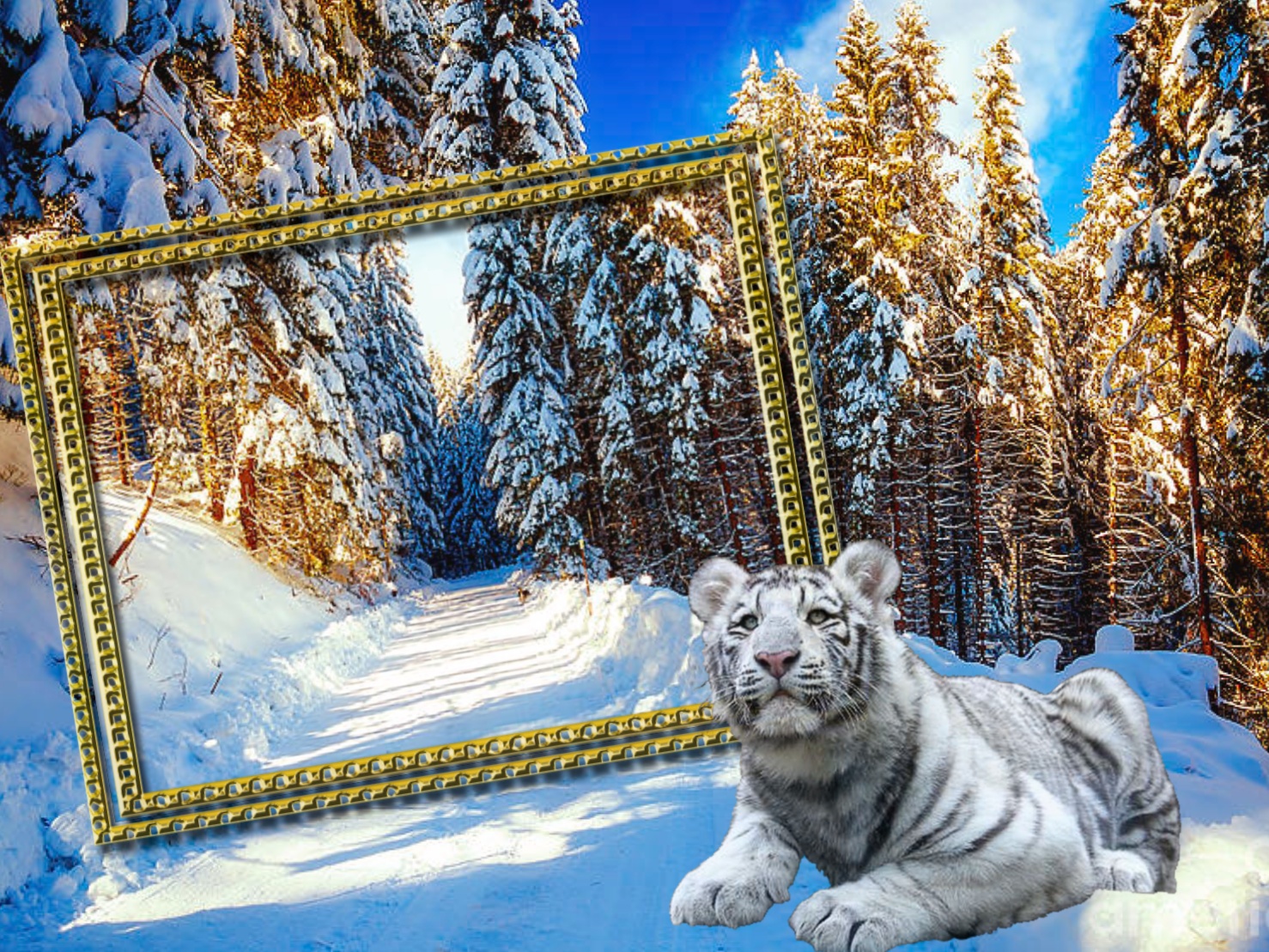 Emily50's Winter Frames - Winter Nature ...