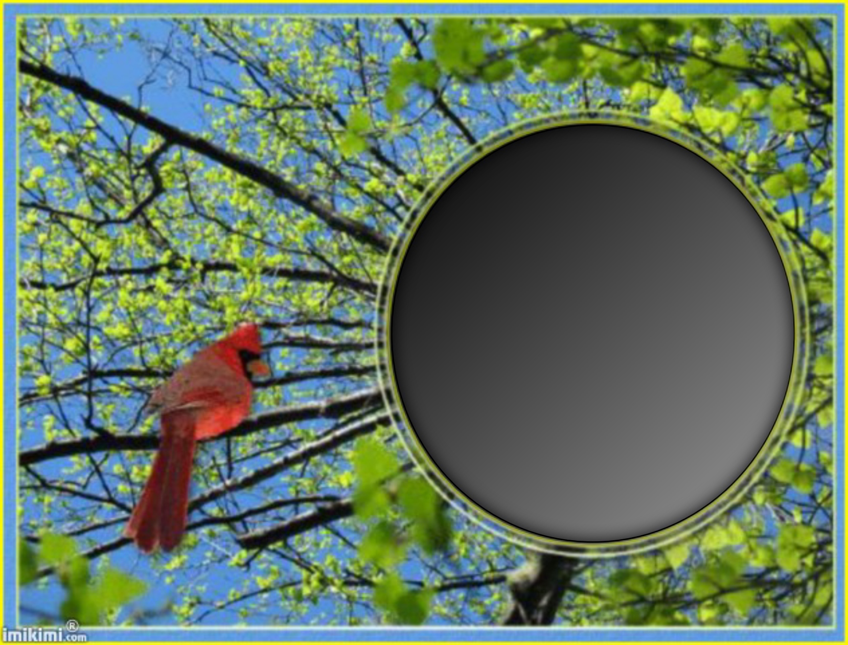 violetaivi's Picture Frames - 2010 November - Bird Frame Violetaivi ...