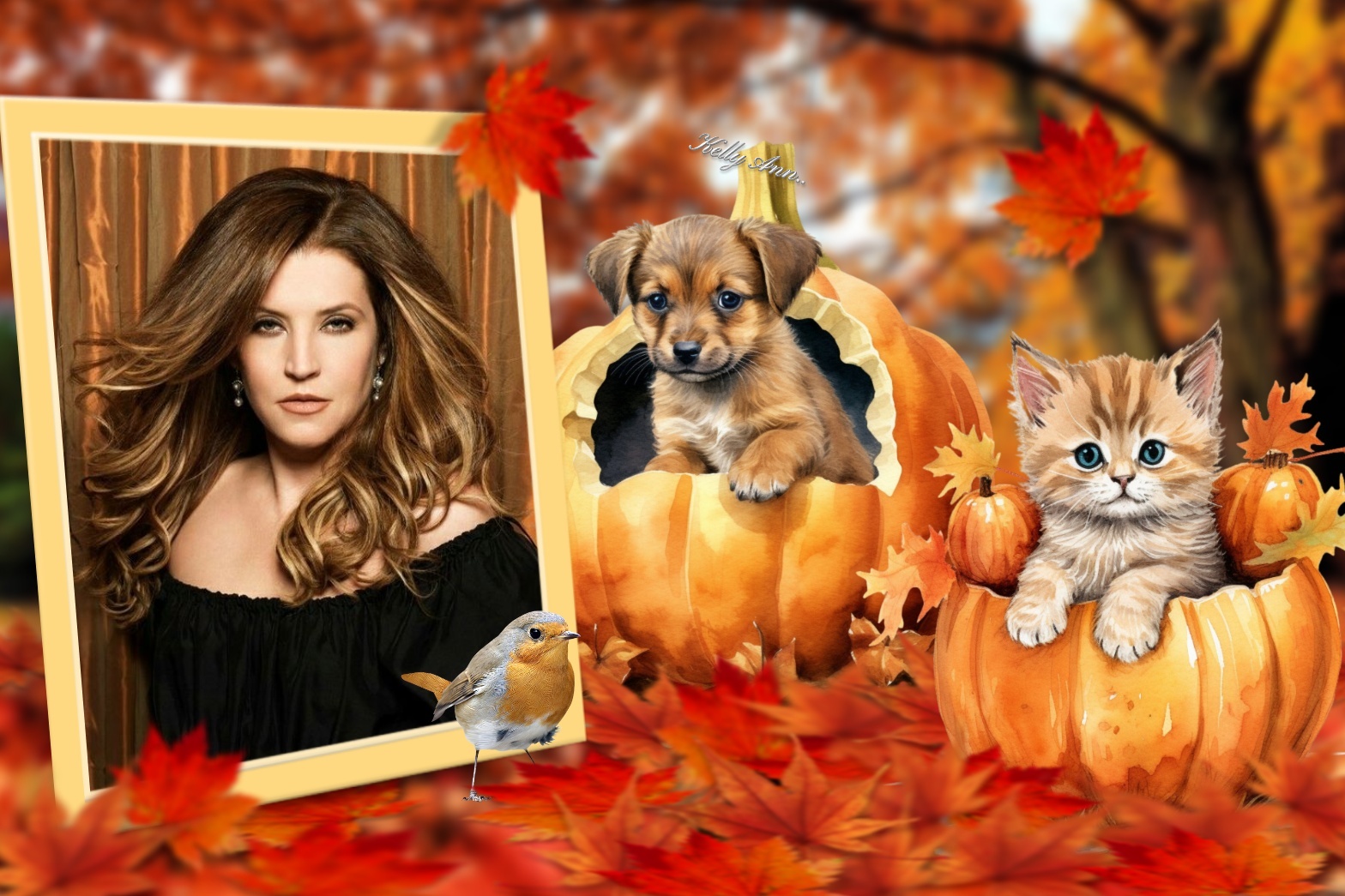 Kelly Tabbert's First Stream - Kelly Tabbert's First Stream