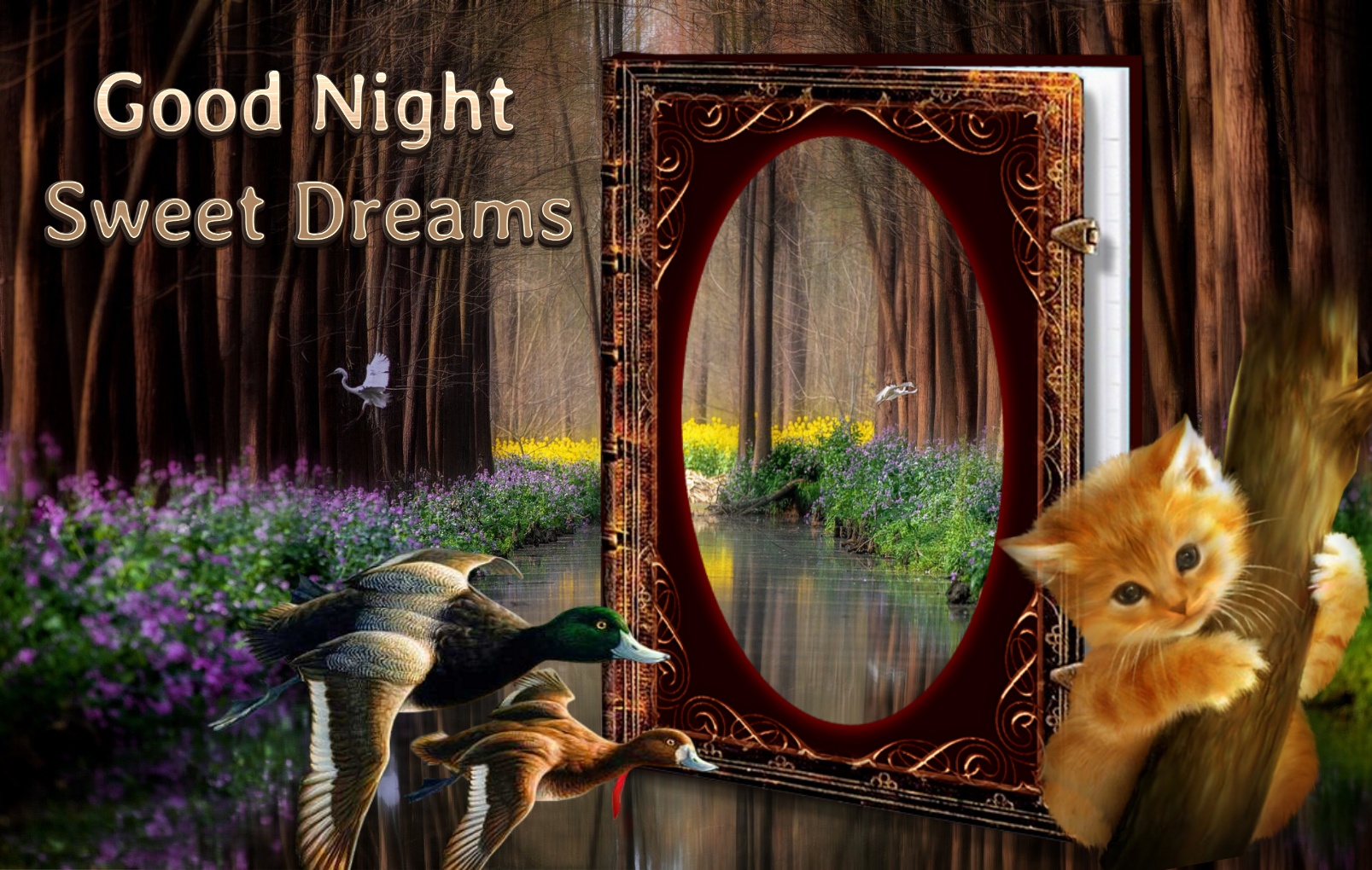 Emily50's Good Morning and Good Evening Frames - Good Night Good ...