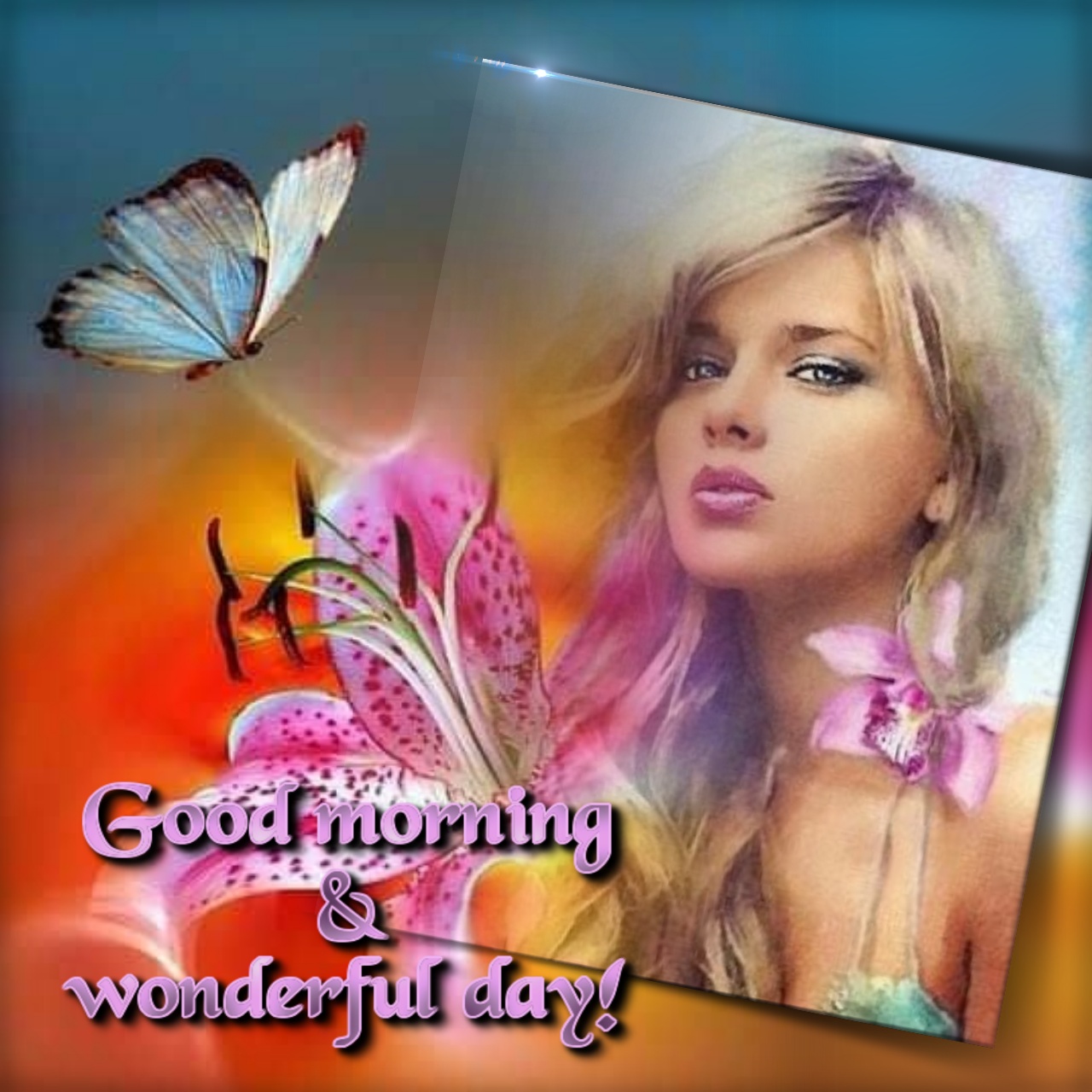 Adelaide's BOM DIA/NOITE🌅 🌇 GOOD MORNING/NIGHT - Adelaide - Adelaide ...