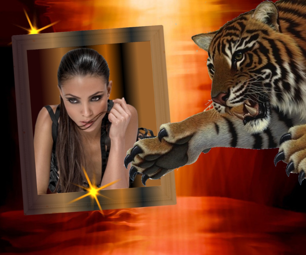 It'sMichelle's Wildlife Frames - Beautiful Tiger Wildlife Nature ...