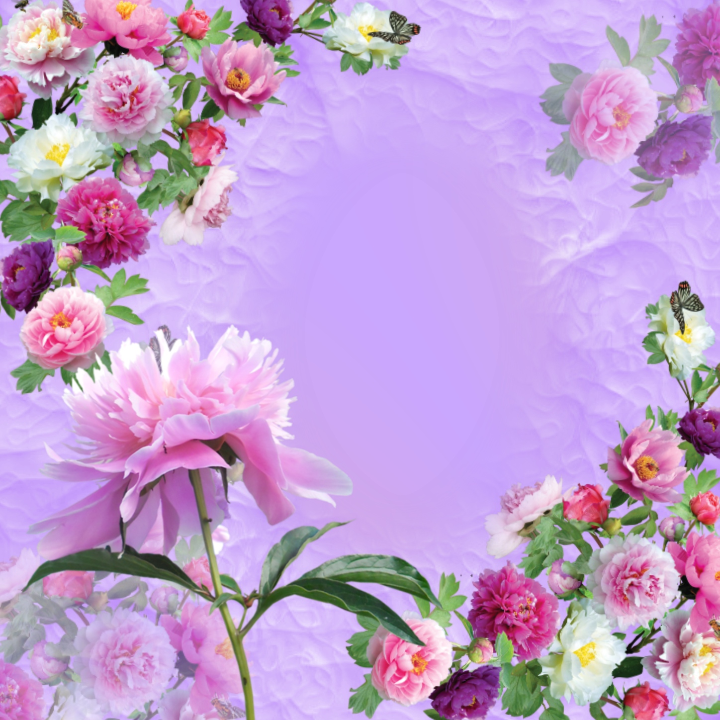 Emily50's Get Well Soon Frames - Floral frame Ghy01 get Well Soon ...