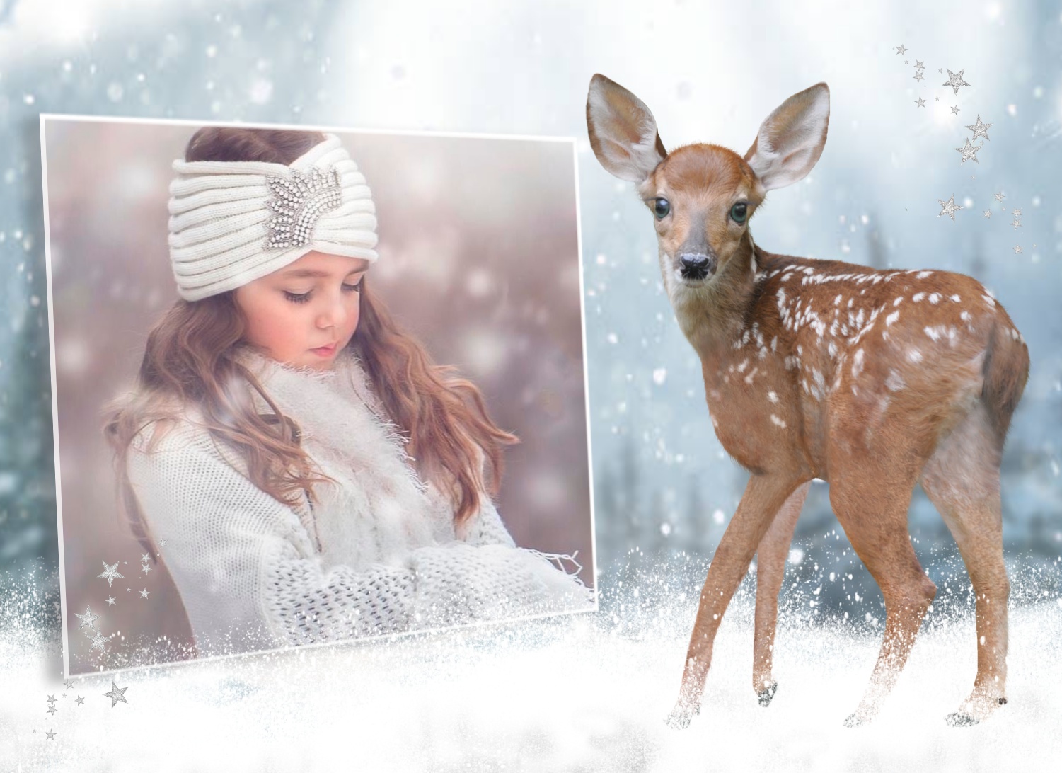 Elizabeth's WINTER ️ 2/2 - Winter Winter Wildlife - Winter Winter ...