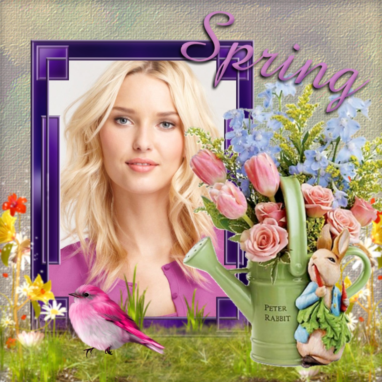 Adelaide's SPRING / PRIMAVERA 🌺 - PRIMAVERA / SPRING 🌺 - Adelaide ...