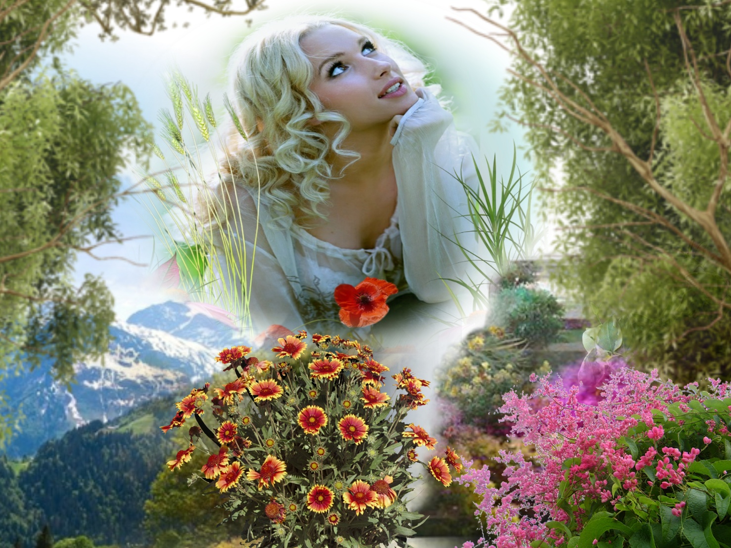 Emily50's Nature - nature Landscape romantic - nature Landscape romantic