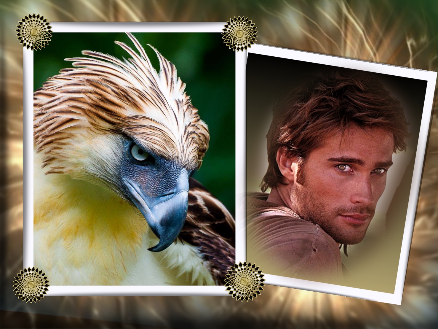 Wienie Coppen's Happy Birthday Male - frame eagle male - frame eagle male