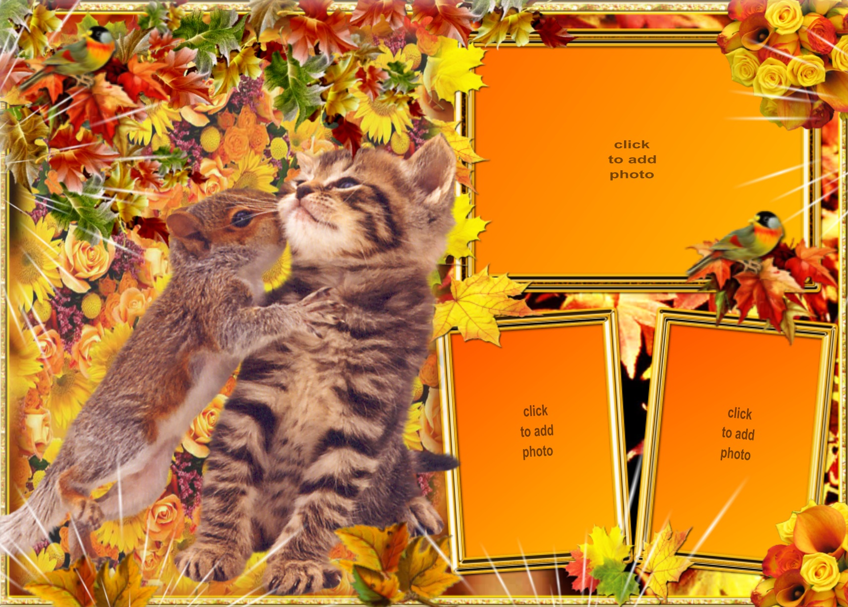 Sinnlich's Fall Frames - Cute Autumn - Animals Love Sinnlich Fall Cats ...