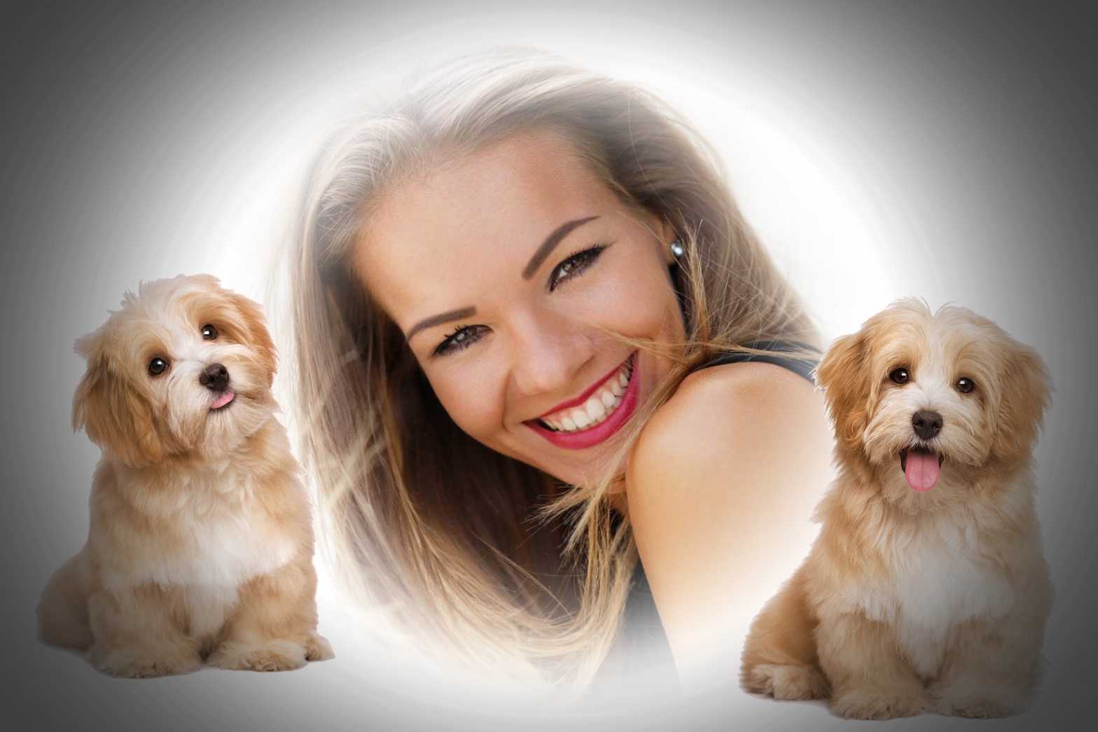 Elizabeth's CATS & DOGS 🐱 🐶 - Dogs Pets Elizabeth - Dogs Pets Elizabeth