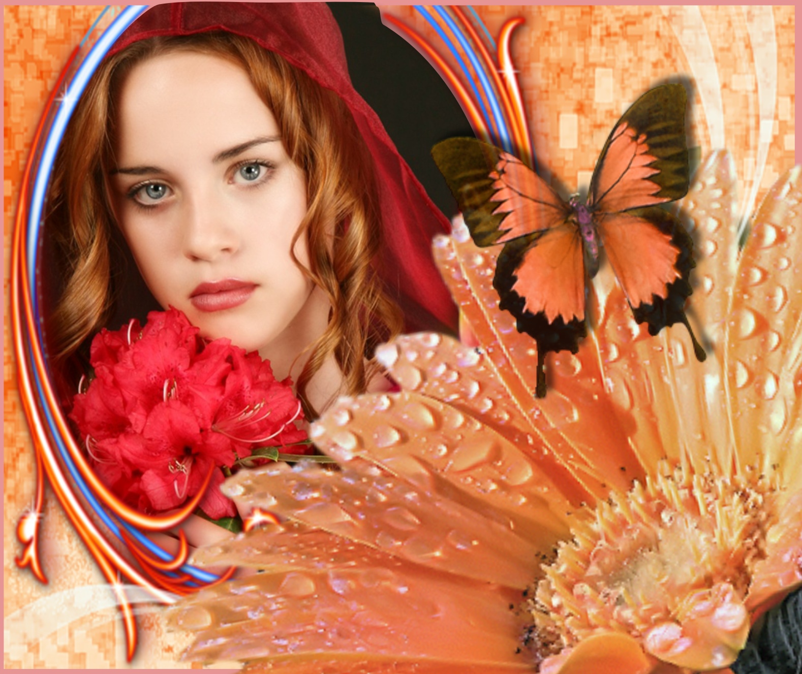 marialedesma1958's Girly Girl Frames - 2013 July - Orange Daisy With ...