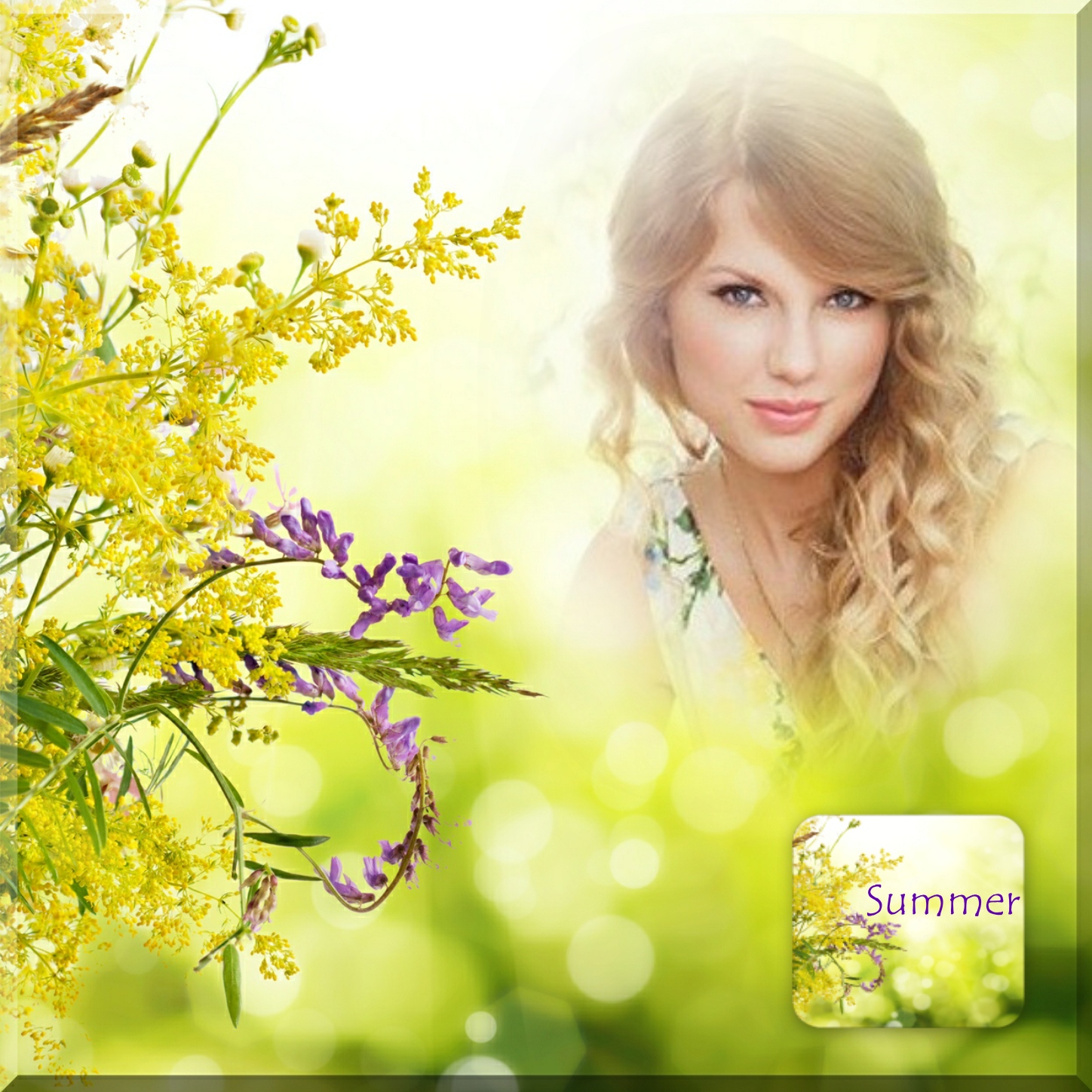 Elizabeth's SUMMER 😎 - Summer Nature Wildflowers Elizabeth - Summer ...