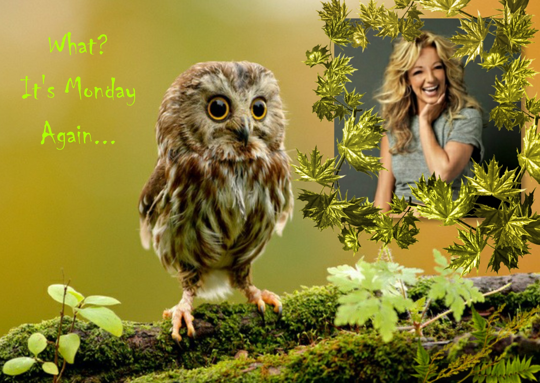 jbedwards007's Monday Frames - 2008 - 2012 - What It - What It's Monday ...