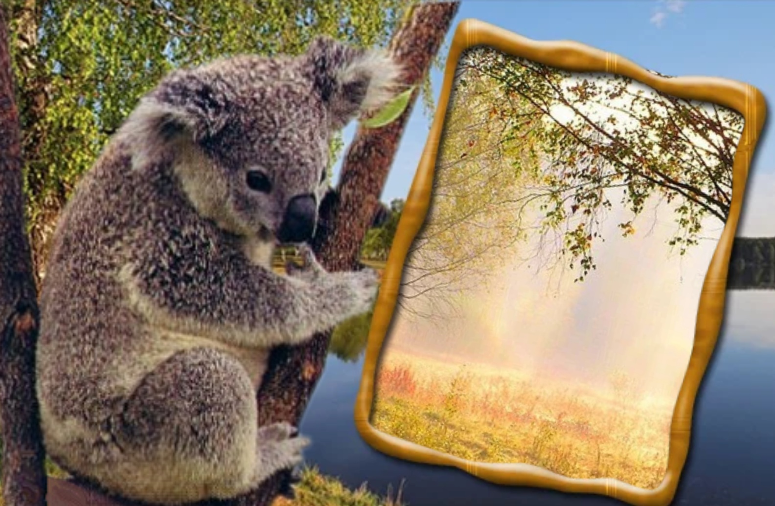 Emily50's Kids Playing and Laughing Frames - Kids Nature ...