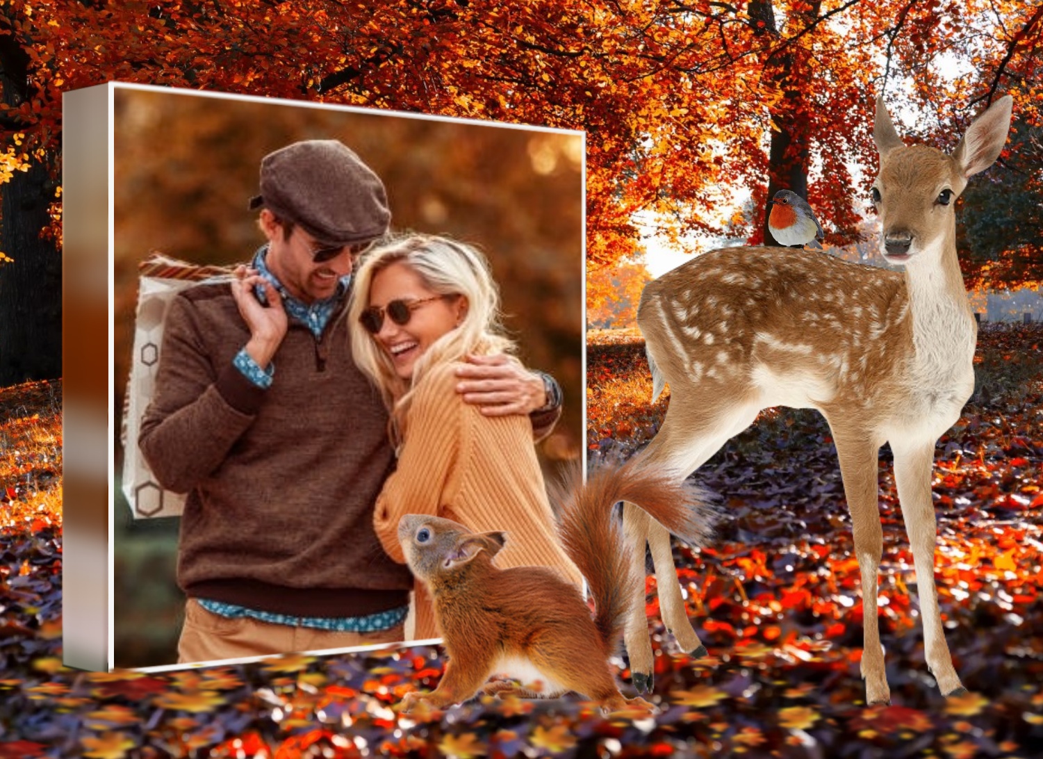 Elizabeth's AUTUMN/FALL 🍁 1/2 - Autumn Fall Wildlife - Autumn Fall ...