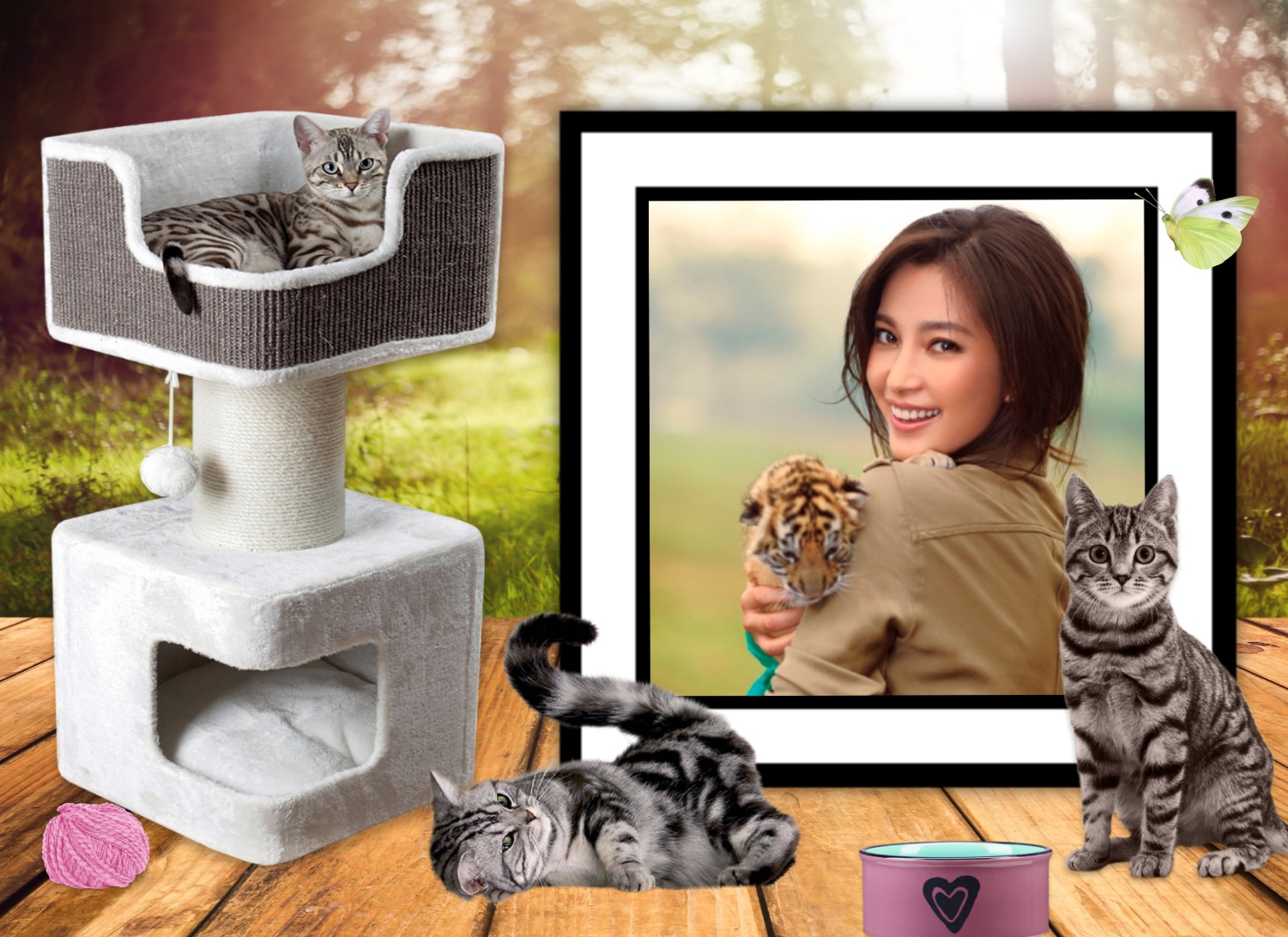 Elizabeth's CATS & DOGS 🐱 🐶 - Cats Pets Elizabeth - Cats Pets Elizabeth