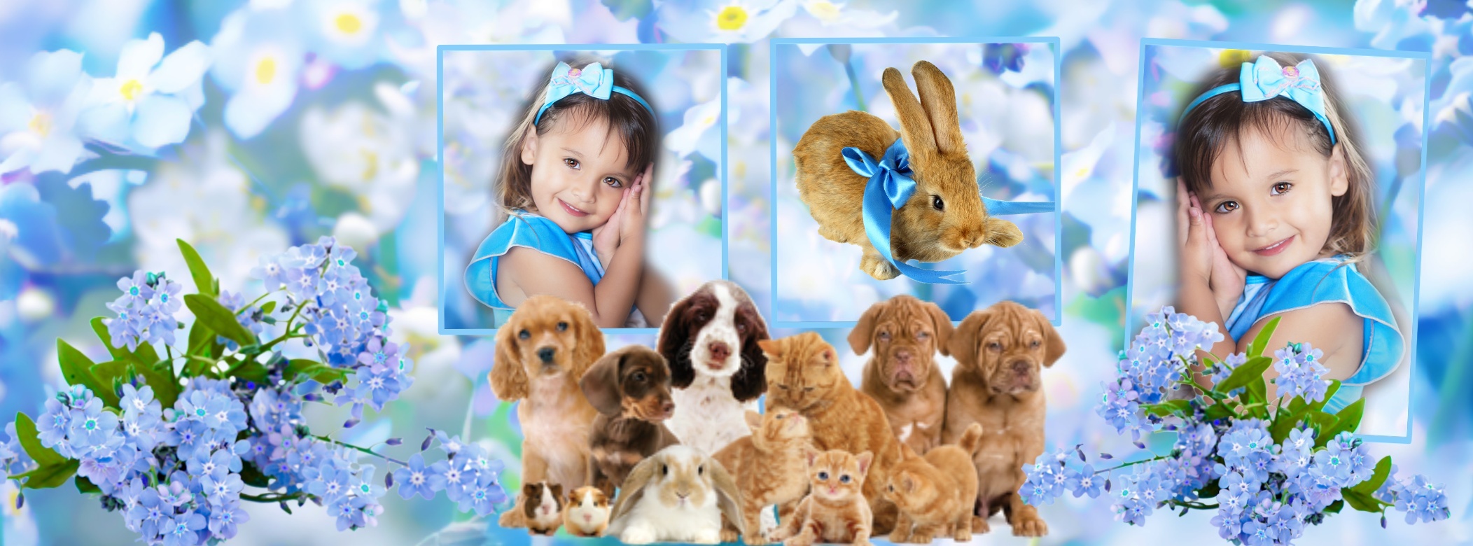 Sinnlich's Spring Frames - 2019 - Sinnlich's Spring Frames - 2019