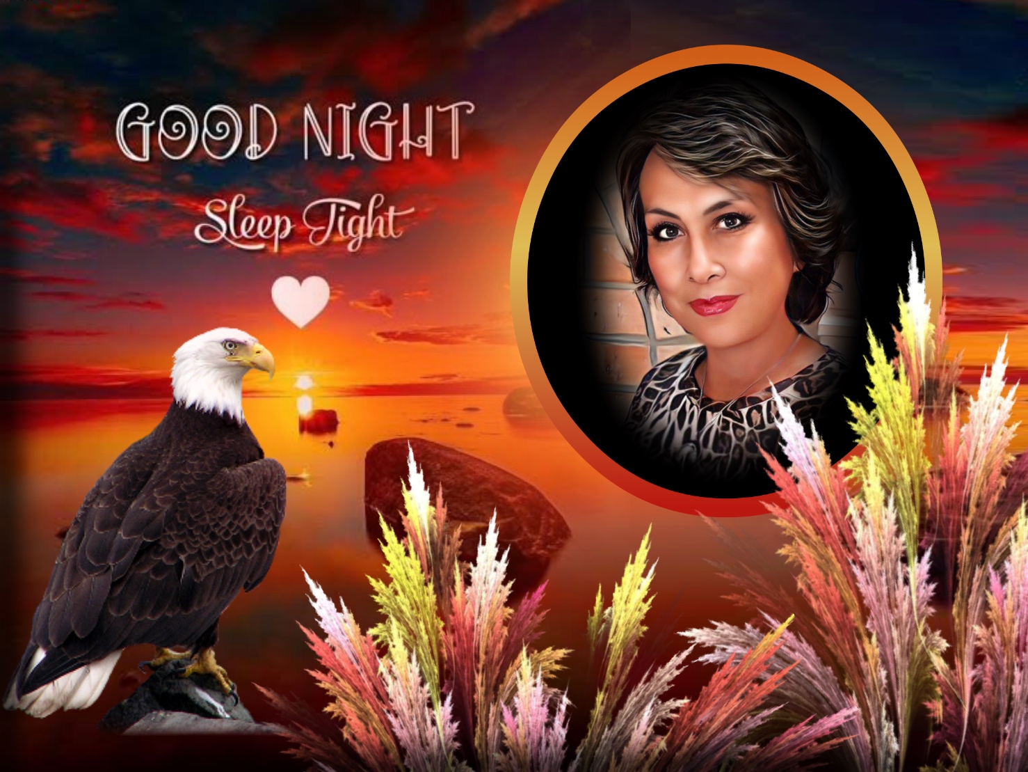 Wienie Coppen's Flowers,Goodnight,Sunset - eagle goodnight sleeptight ...