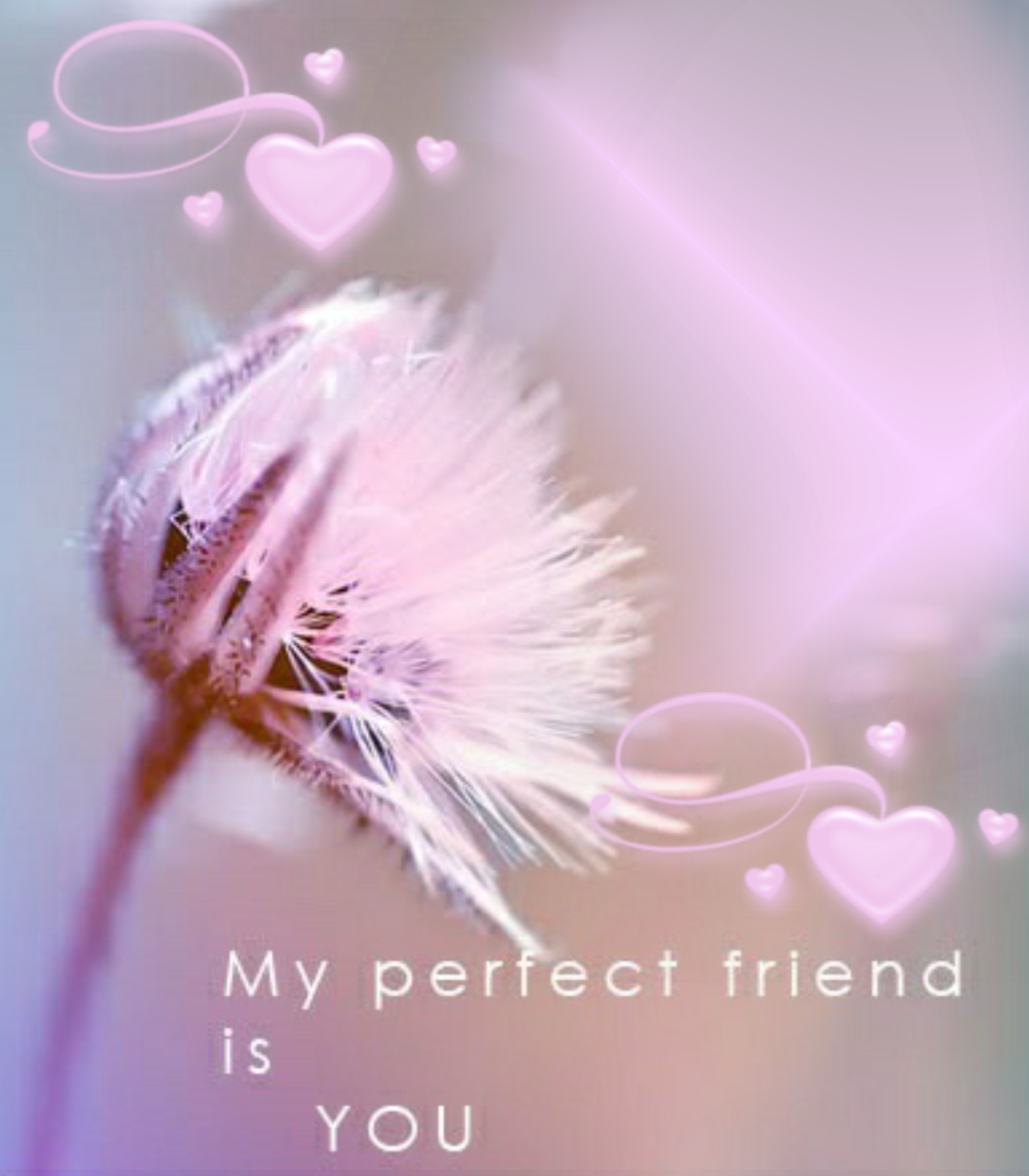 Emily50's Summer Holiday Frames - My perfect friend is you - My perfect ...