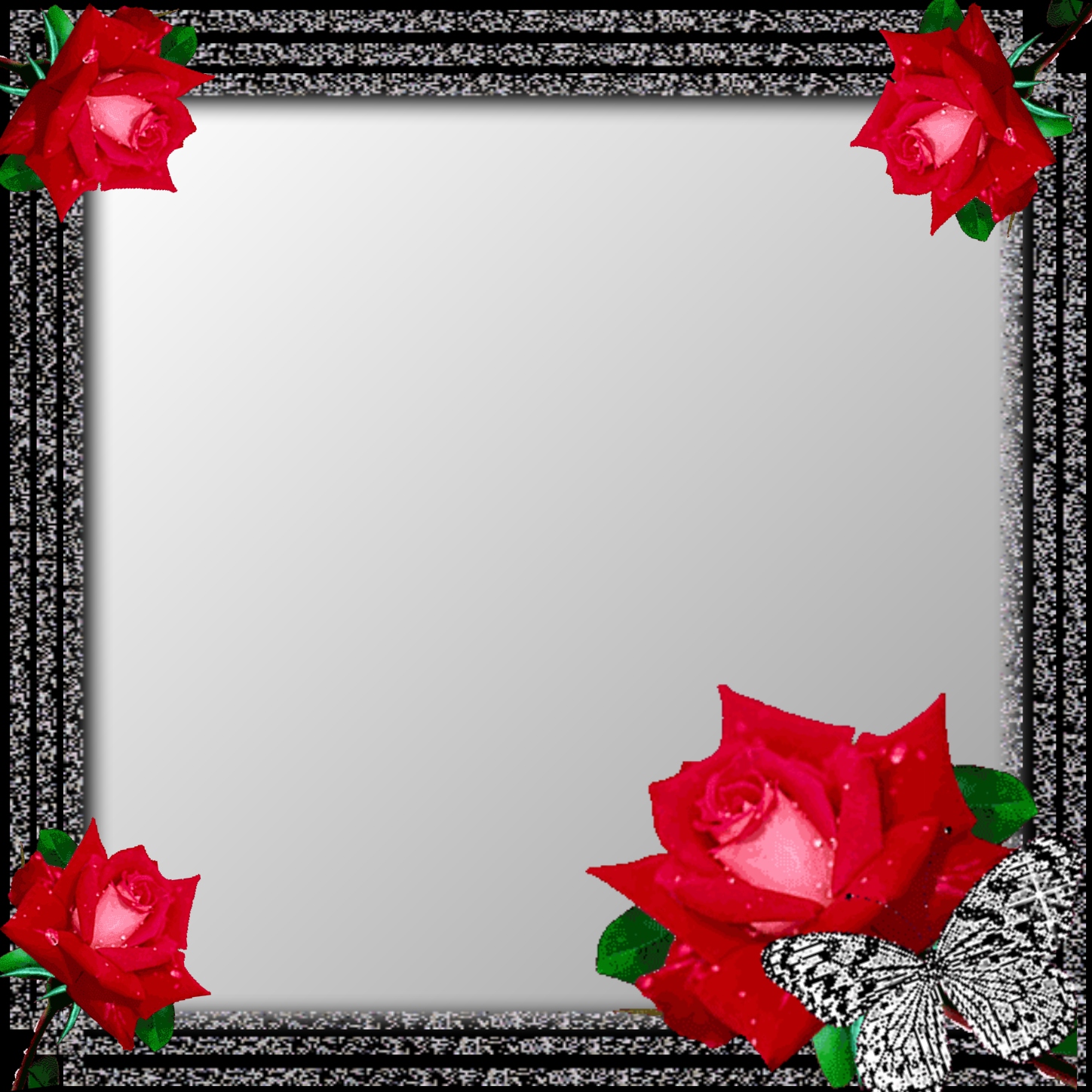 Maria Duran's Picture Frames - 2009 December - red rose Esamary69 ...
