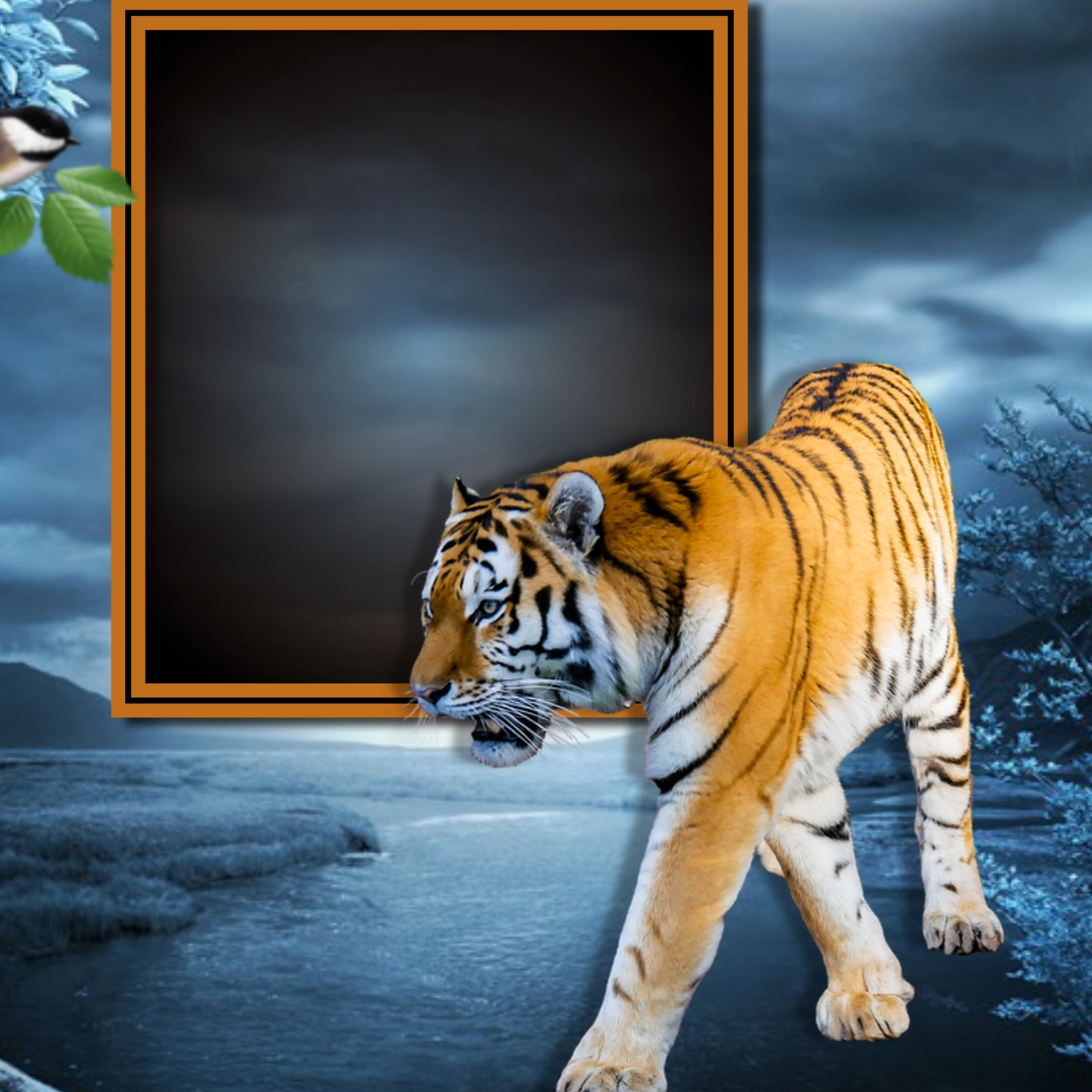 It'sMichelle's Wildlife Frames - 2017 May - 2017 June - Beautiful tiger ...