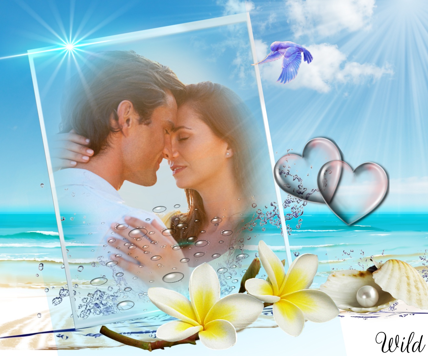 wildthing_9111's Stream 2 - Stream4 - Wild Love Beautiful Beach Ocean ...