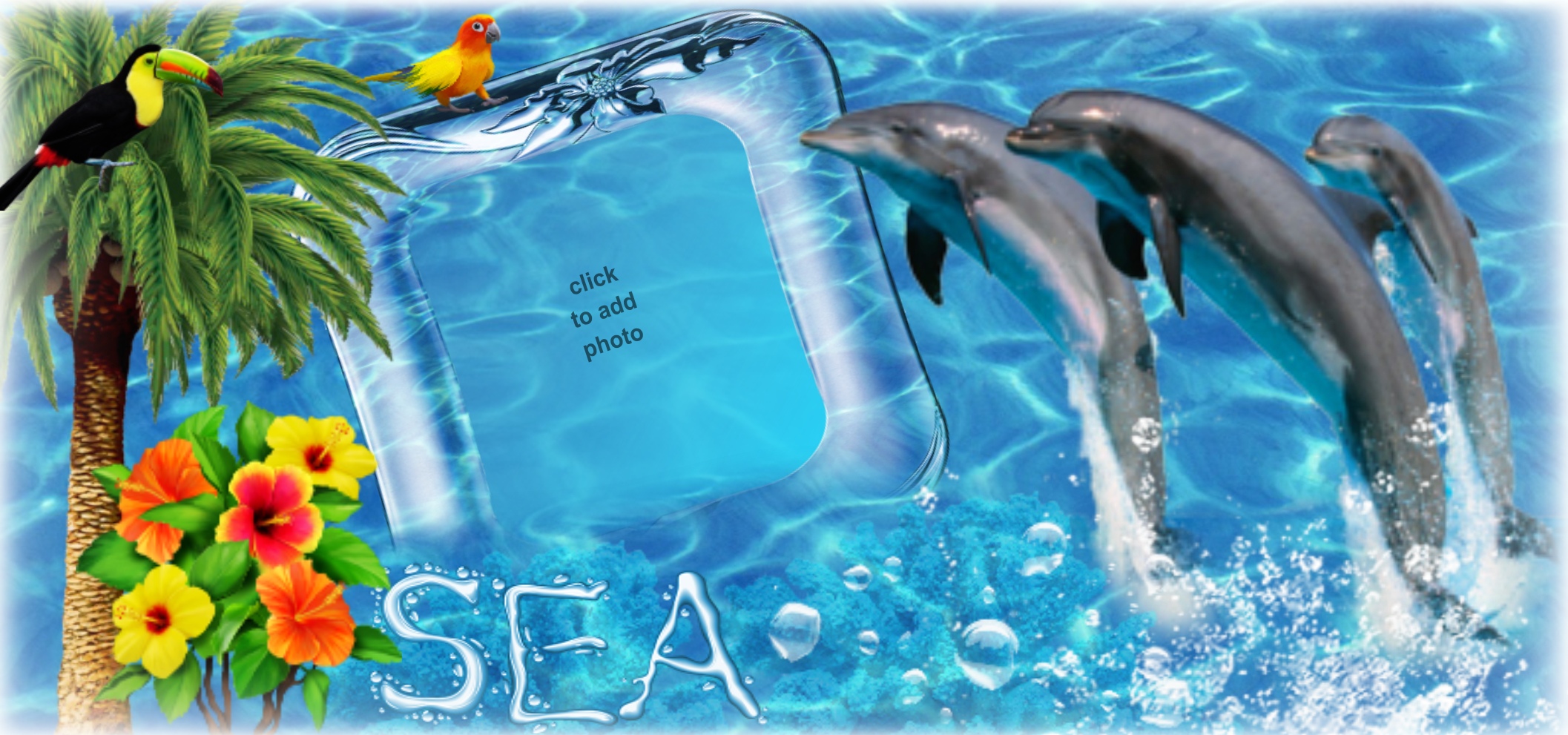 Sinnlich's Summer Frames - 2016 - Dolphin Sea Sinnlich summer Sea Me ...